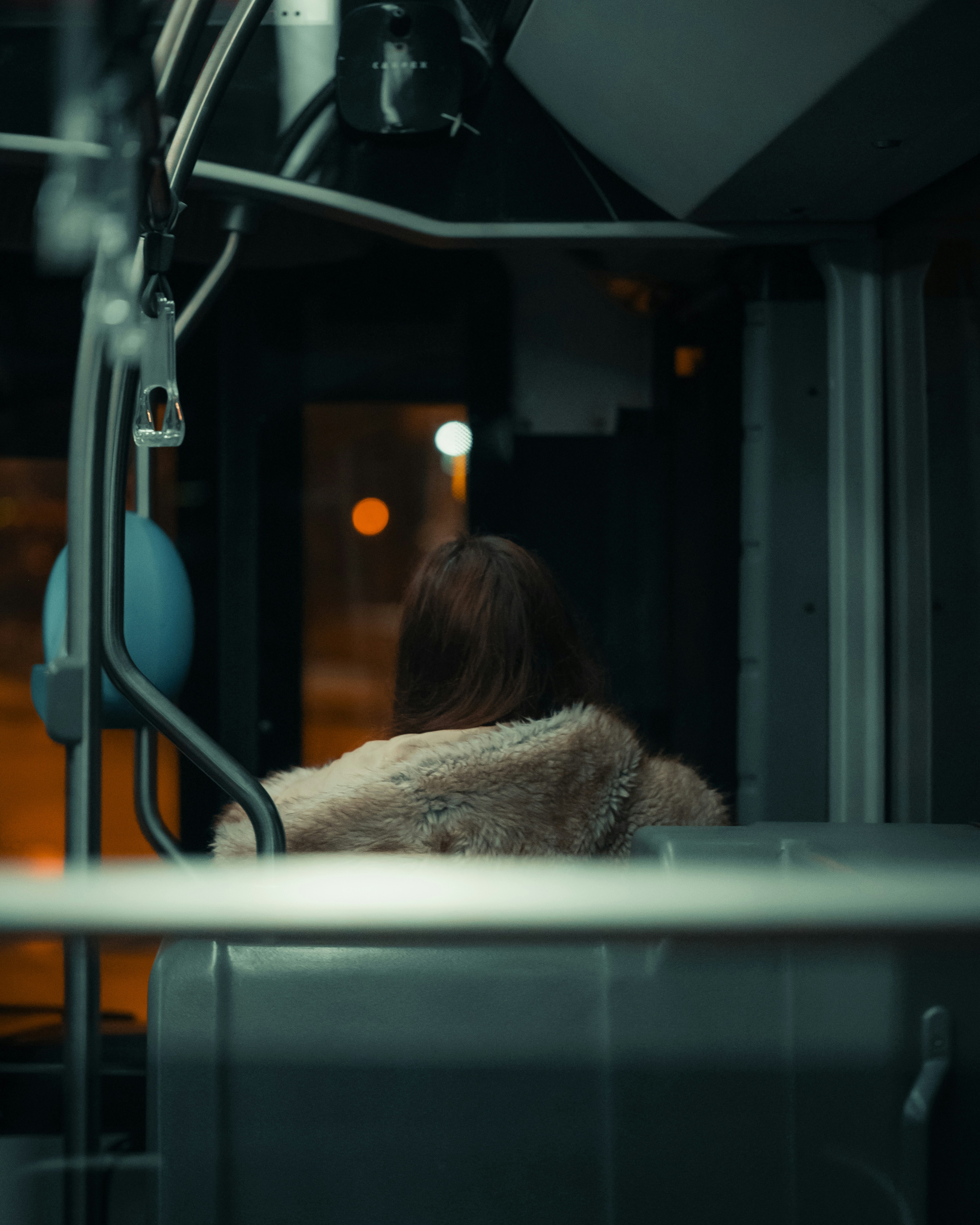 Backlit Passenger: Quiet Evening Ride Amid Industrial Blues