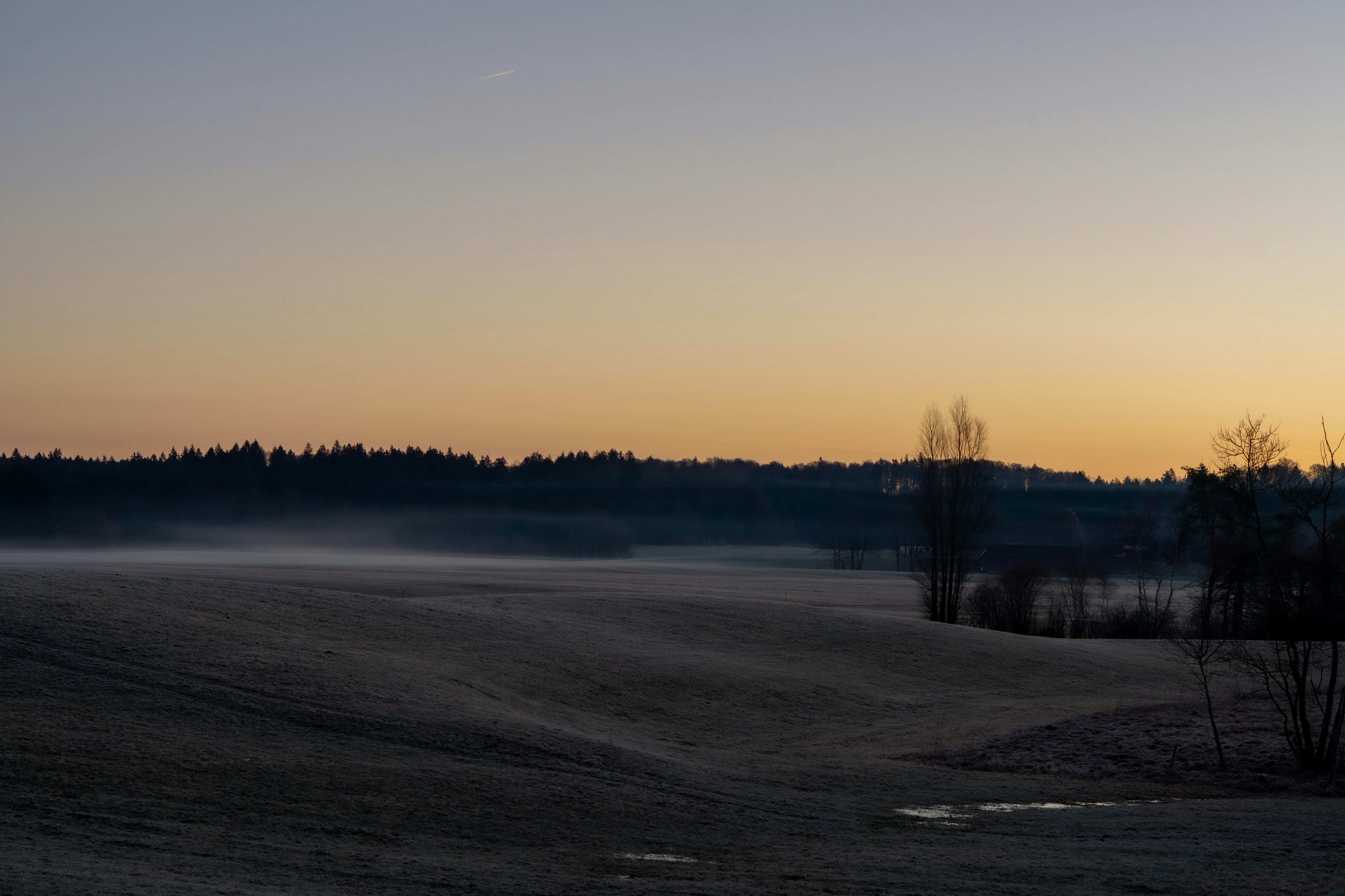 Dawn Over the Misty Floodplain