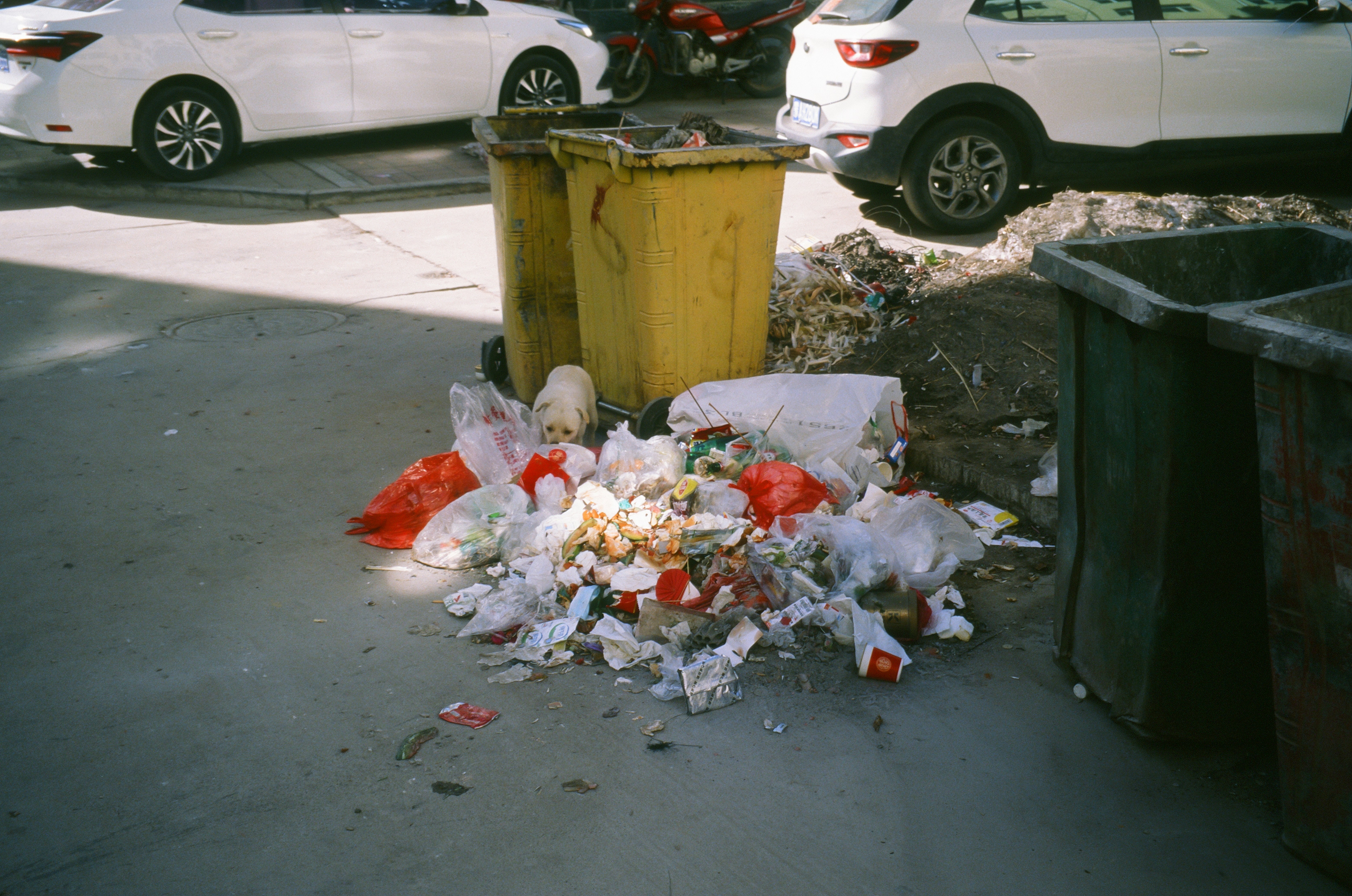Trash overflowing from bins onto the pavement