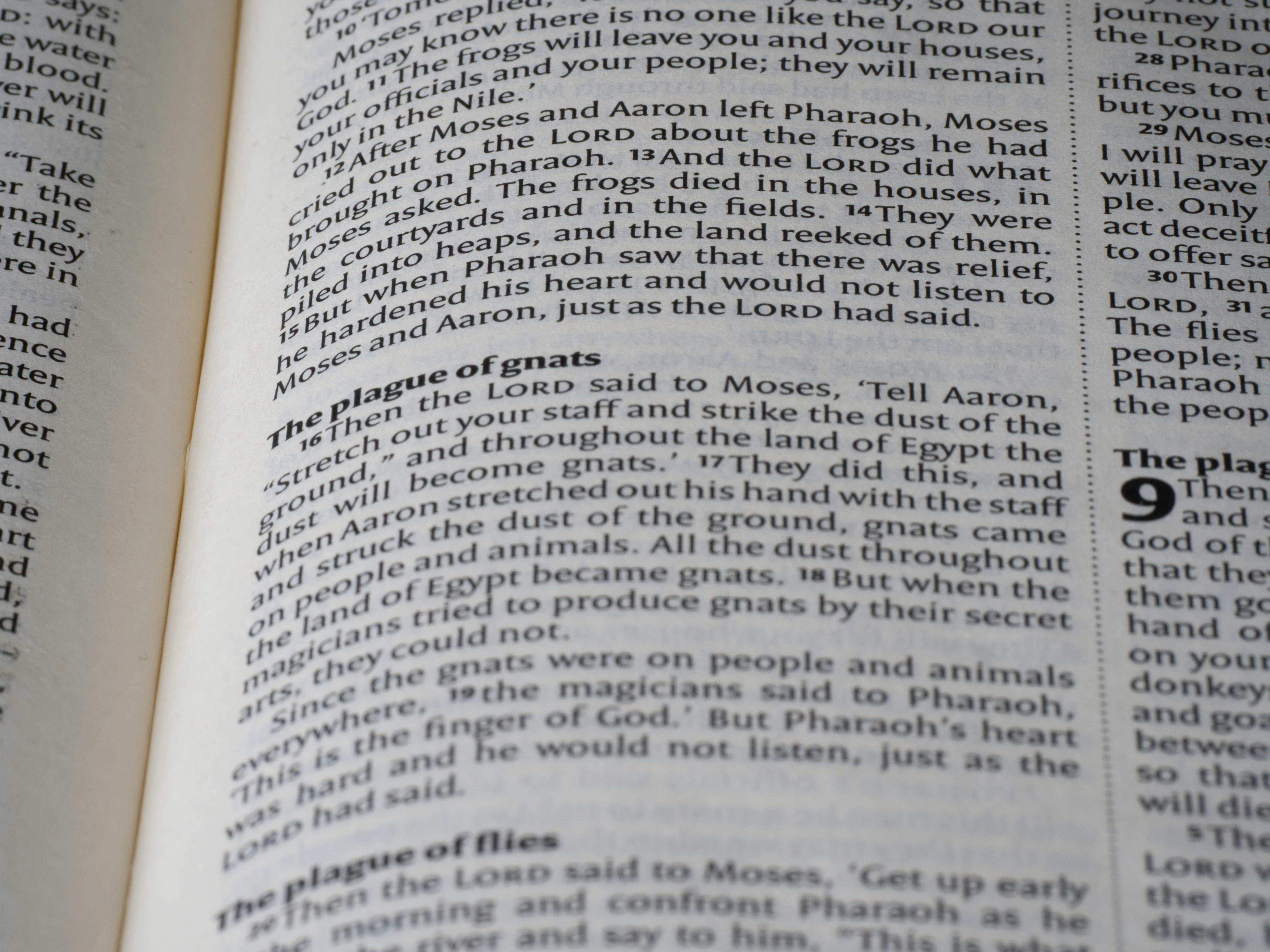 Margins of Meaning: A Close Read of Tiny Type in a Bible Page