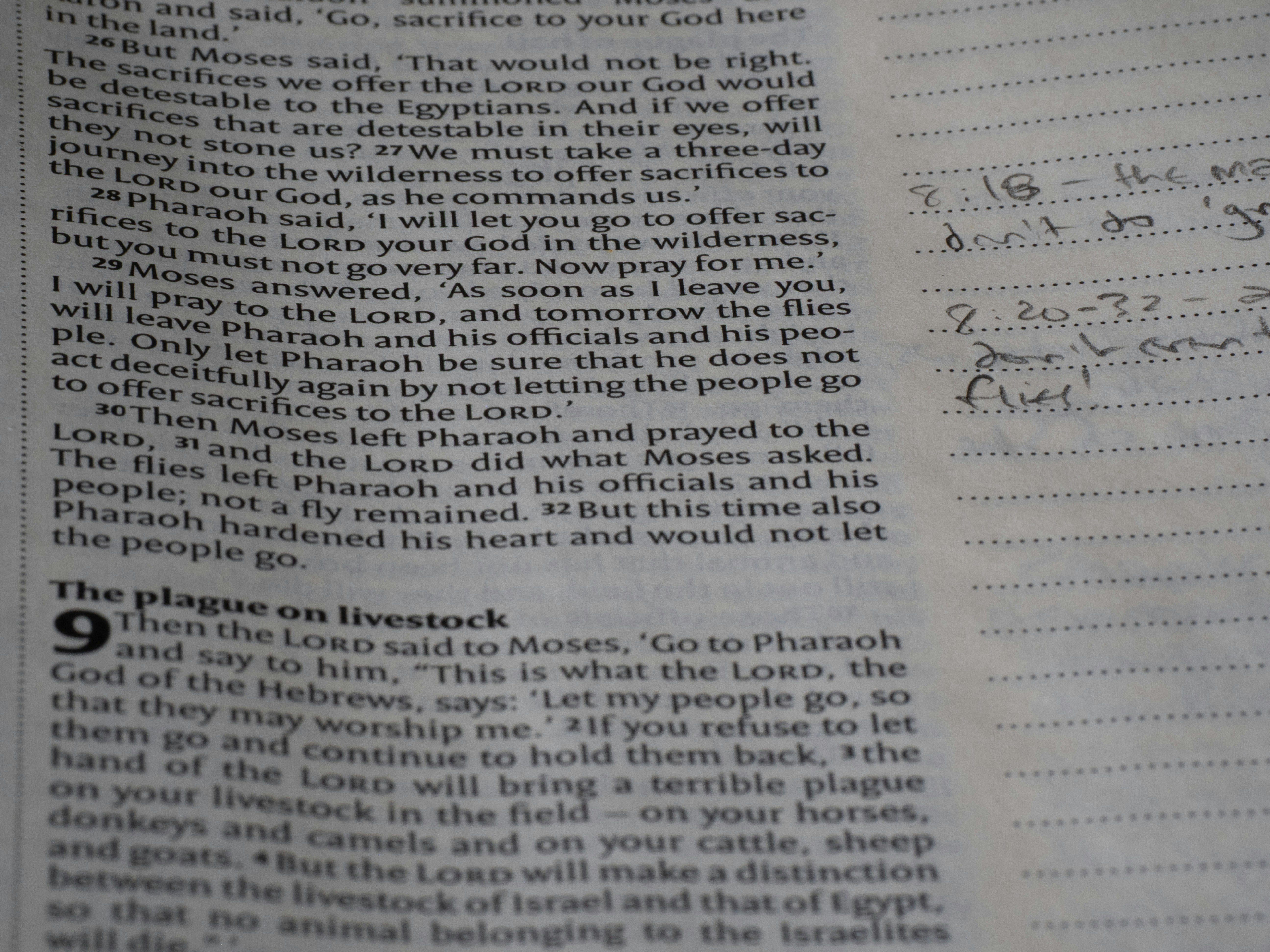 Whispered Script: A Page with Raised Ink and Faded Edges