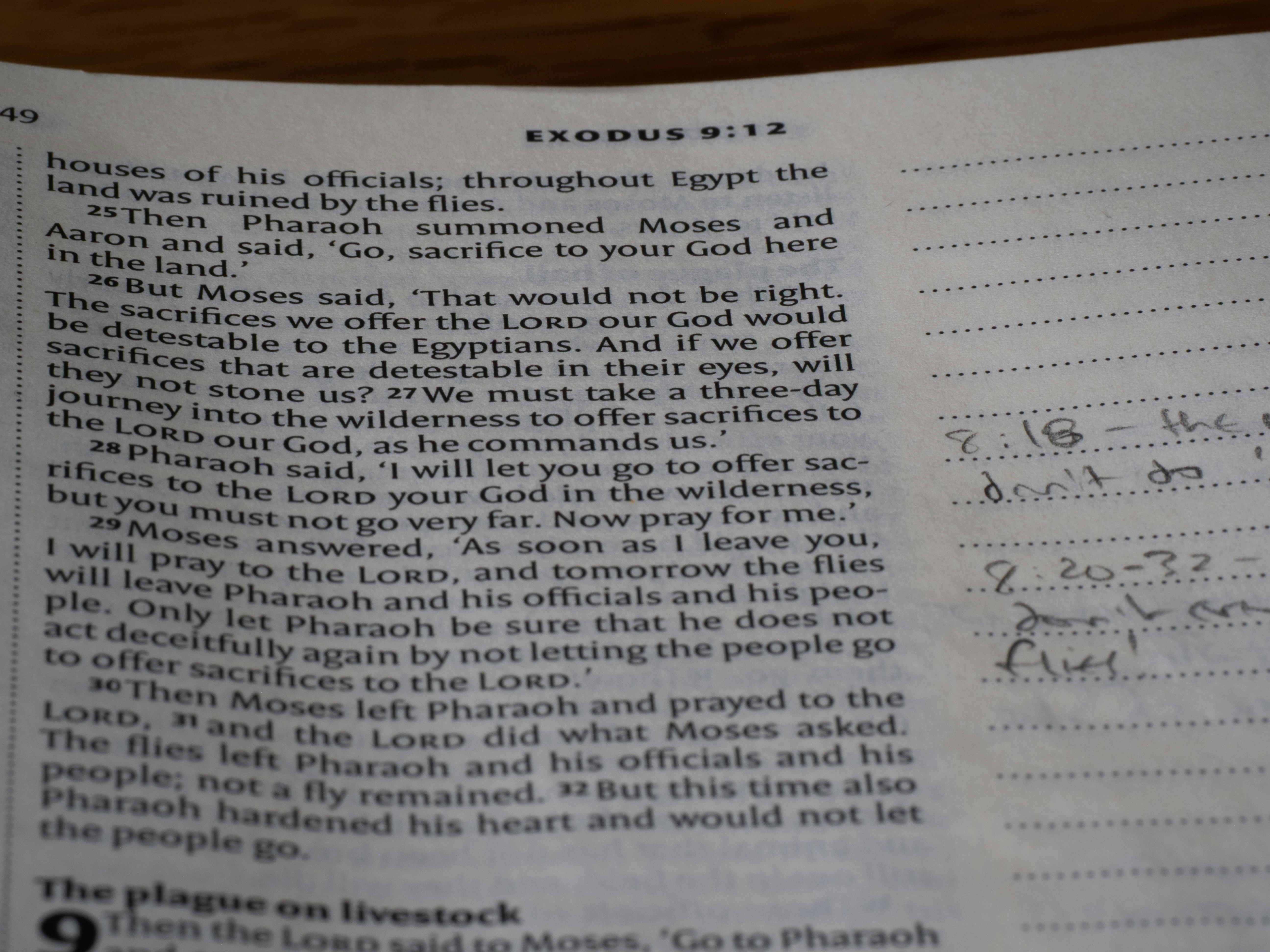 Ancient Texts in Parallel: A Page of Excerpts with Scribbled Notes