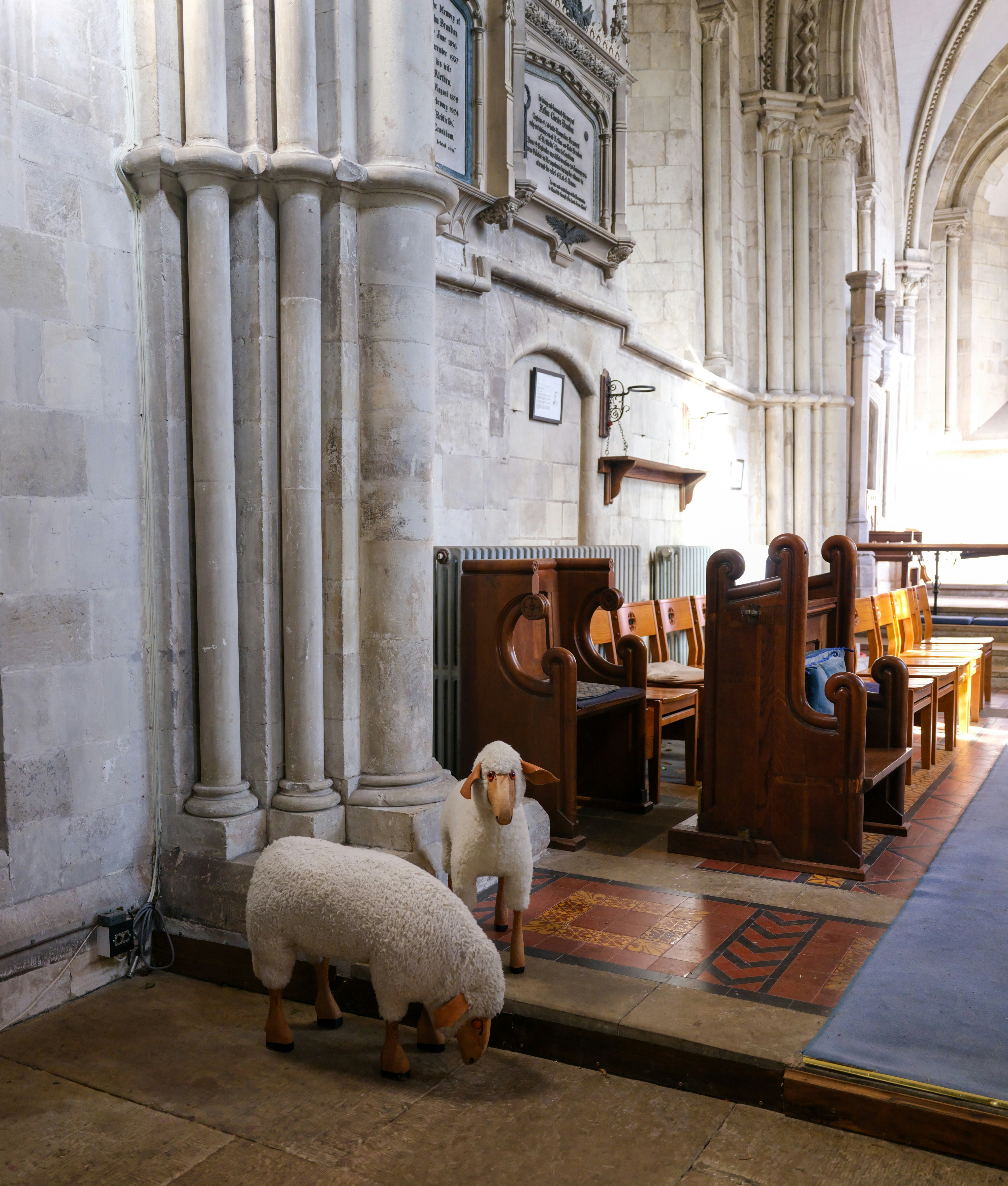 Sheep in the Vintage Chapel: Quiet Pasture Among Stone Arches