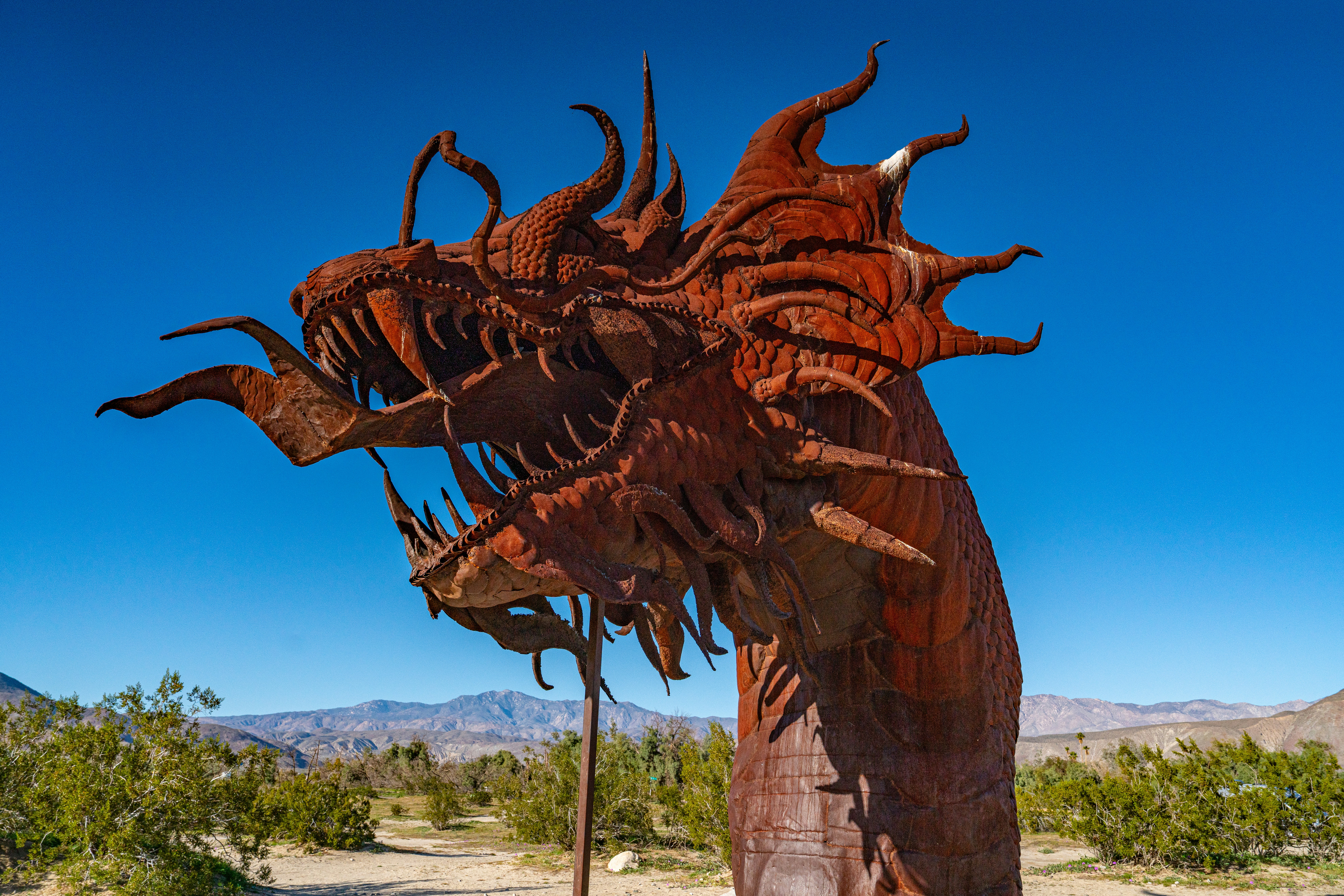 Iron Serpent in the Desert Ridge