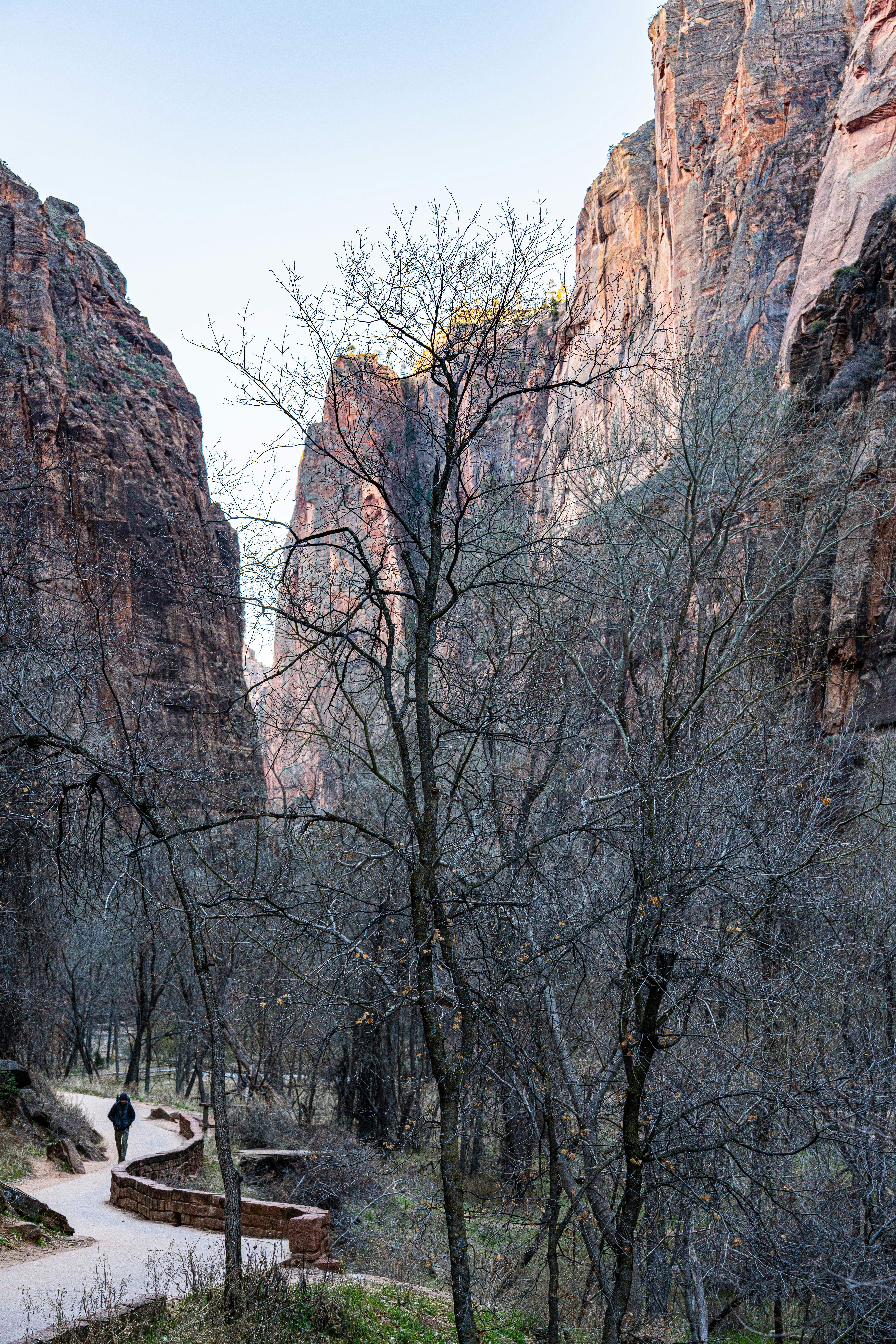 Trail Through a Narrow Canyon Beneath Coral Cliffs