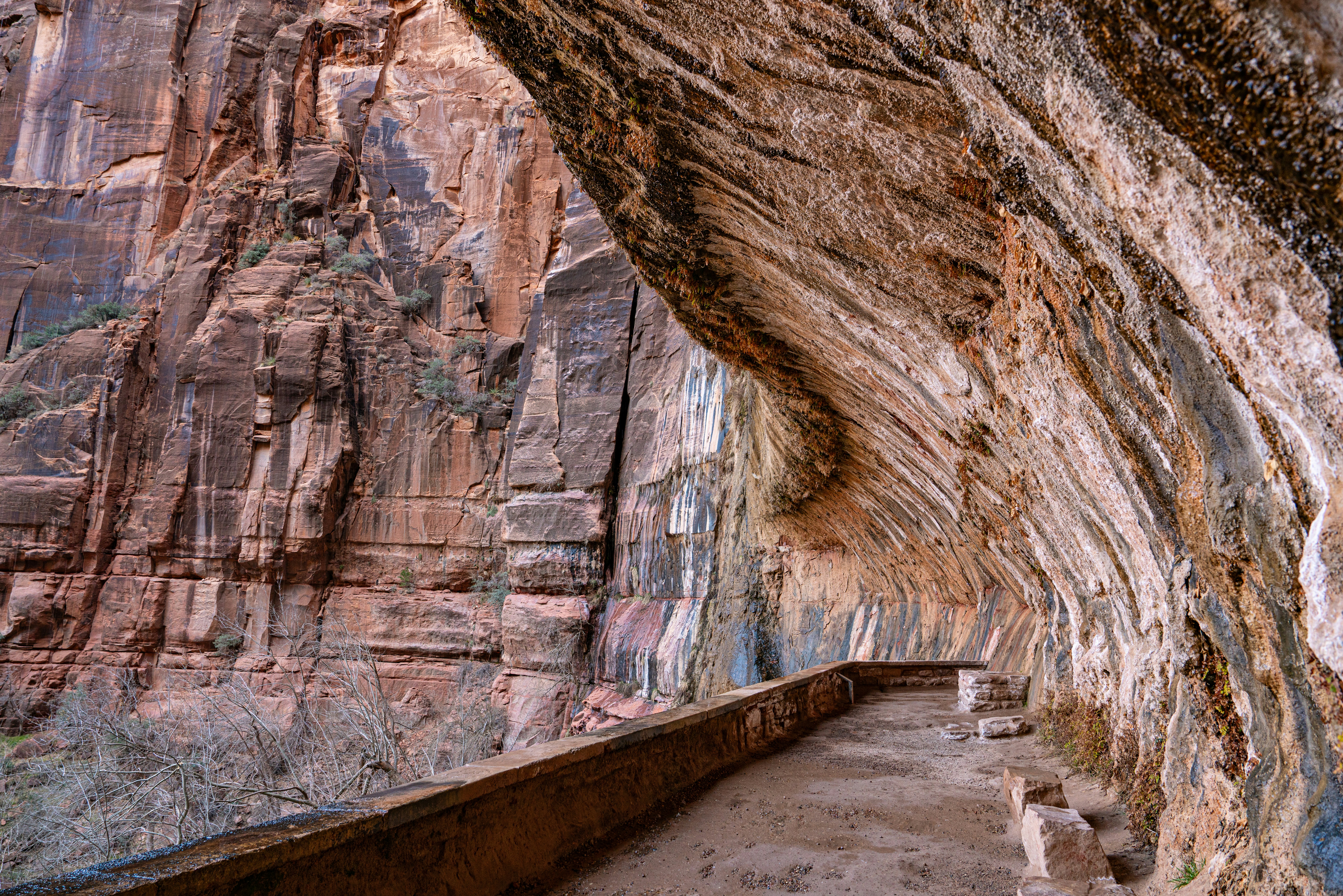 Sunlit Cliffside Walkway Through Curved Canyon