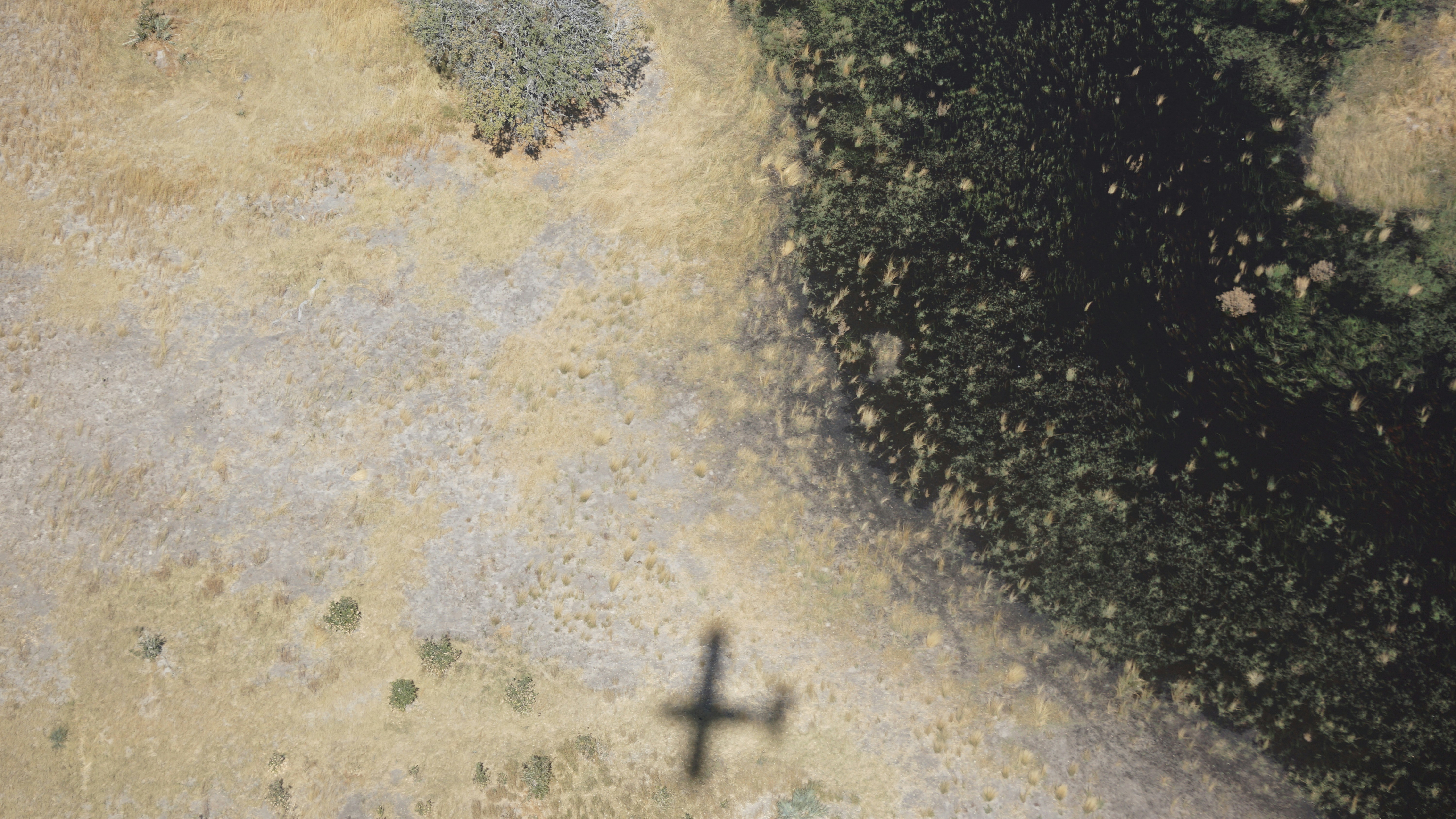 Aerial Patchwork: Weathered Concrete and Moss Edge