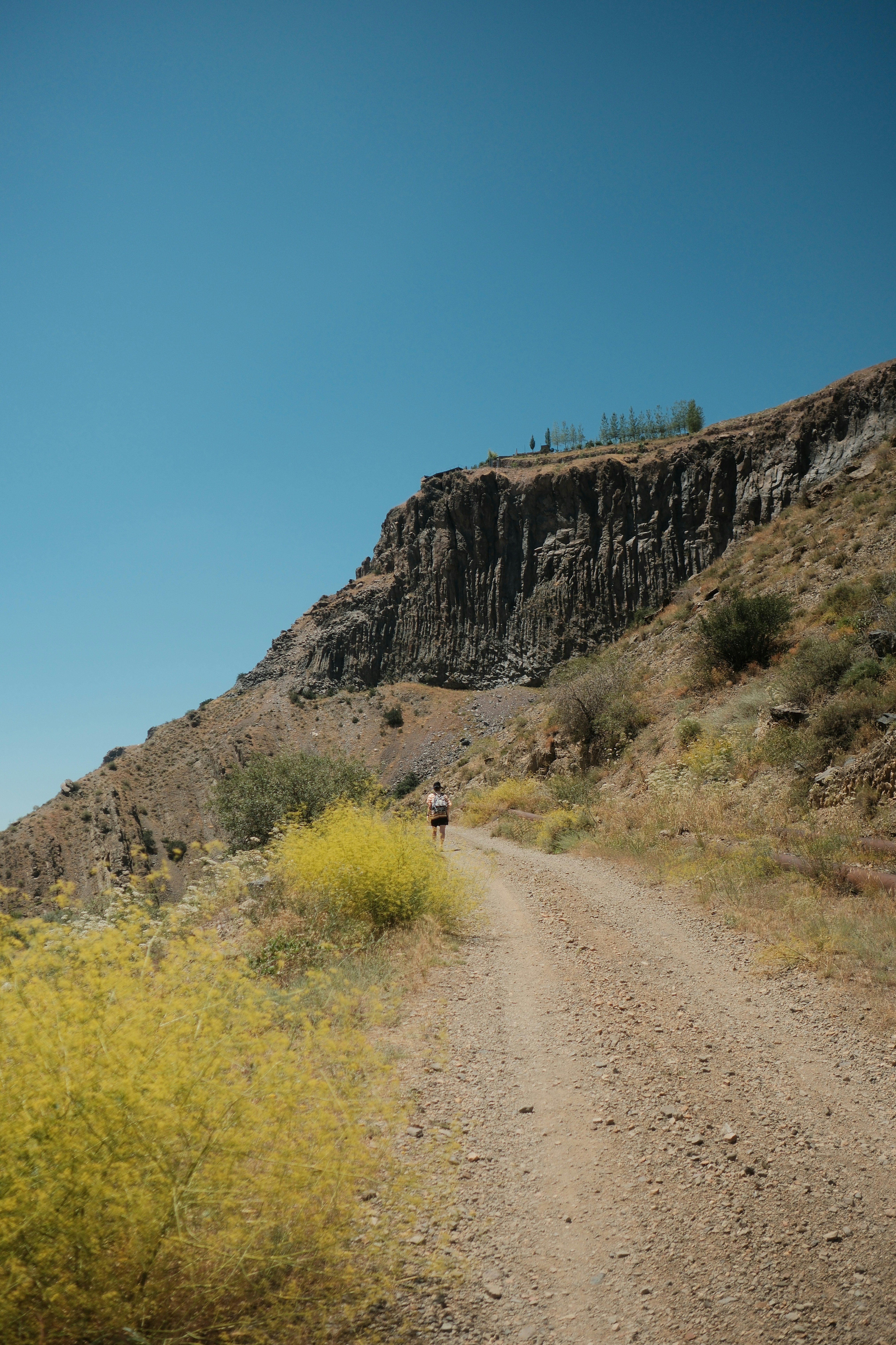 Trail to the Cliffside Summit: A LoneWalker Amid Arid Wildflowers