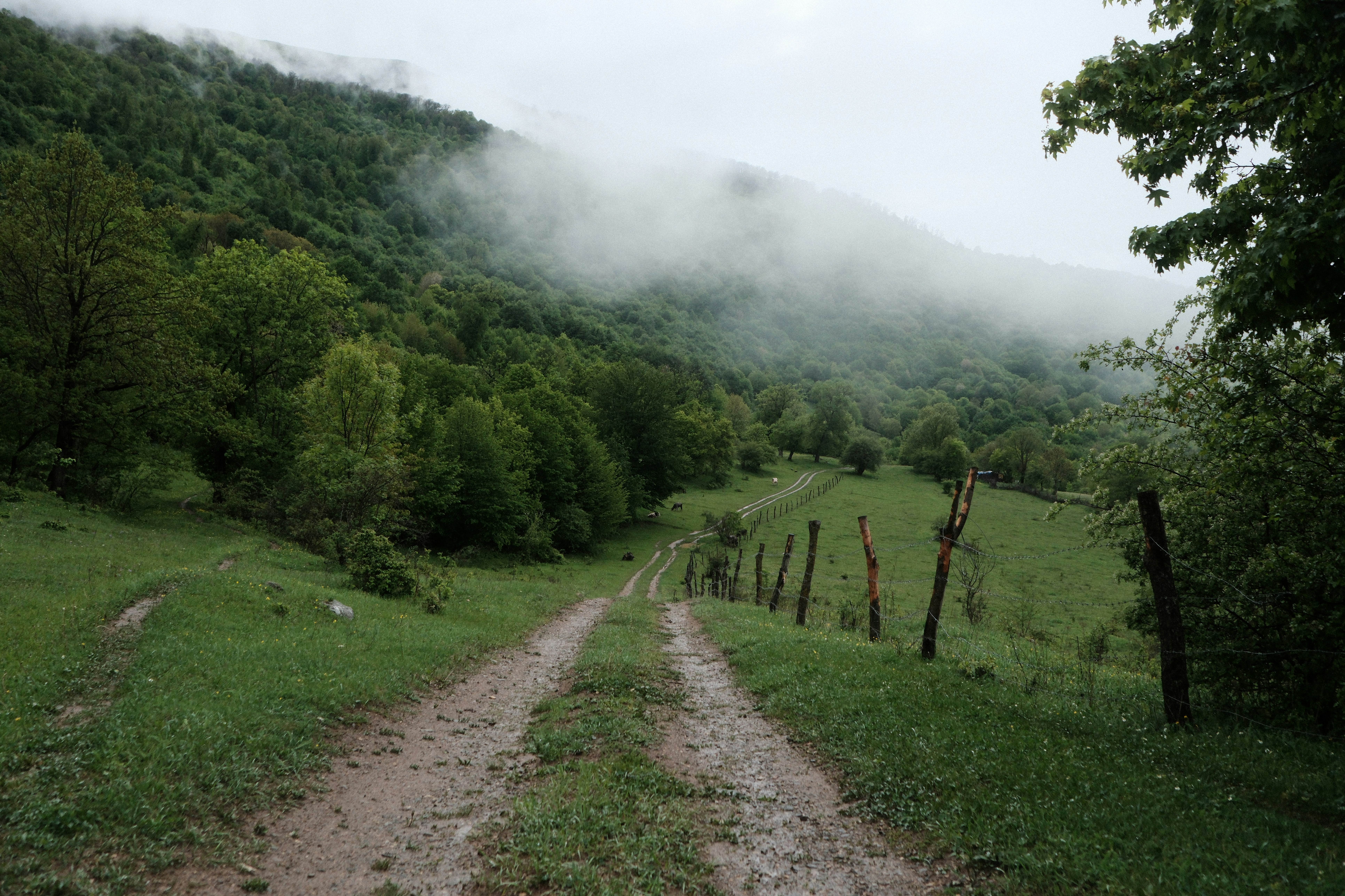 Misty Farm Trail Down a Gentle Valley