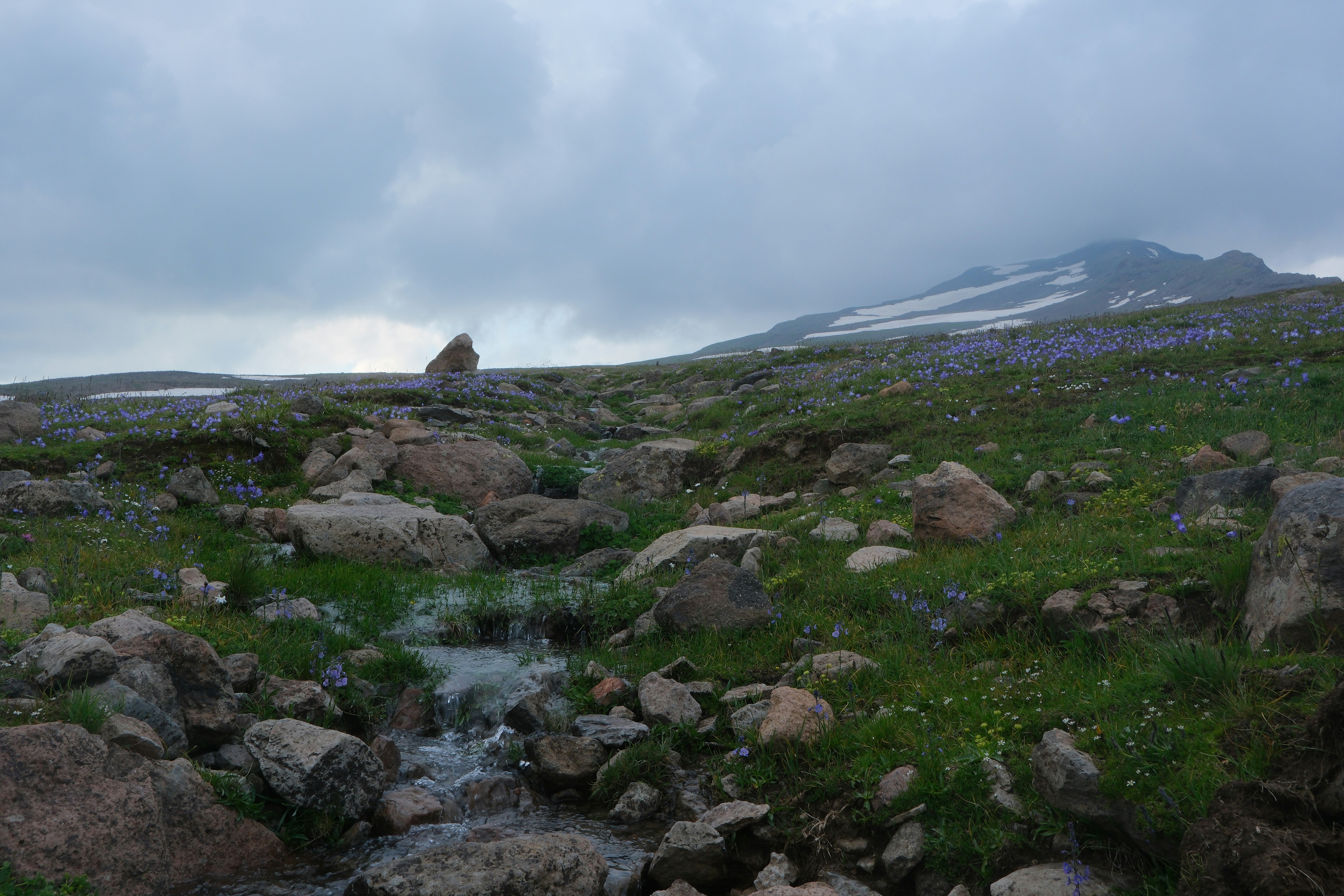 Rugged Alpine Creek Culmination Under Clouded Sky