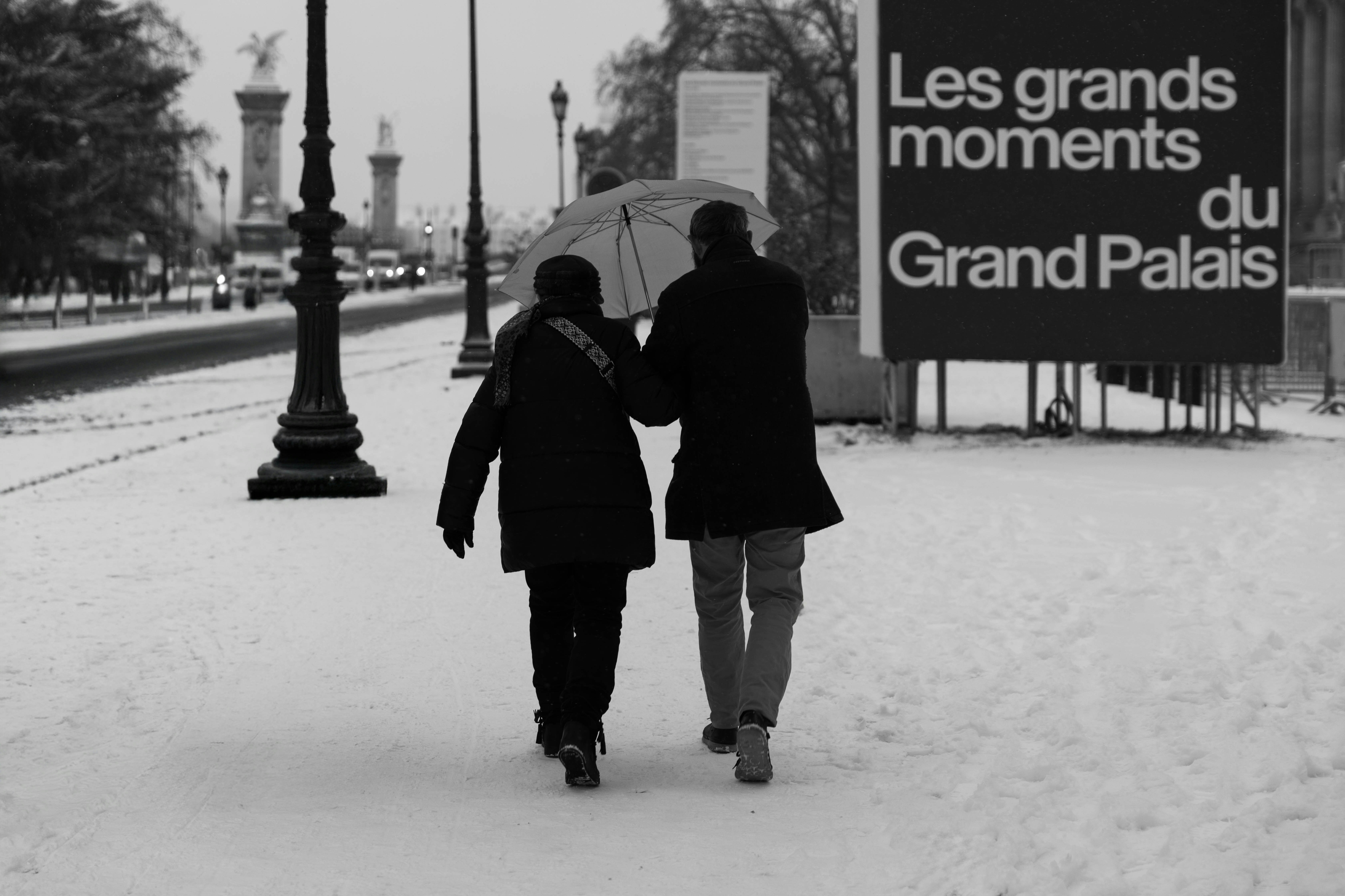 Snowy Stroll Under Shared Umbrella