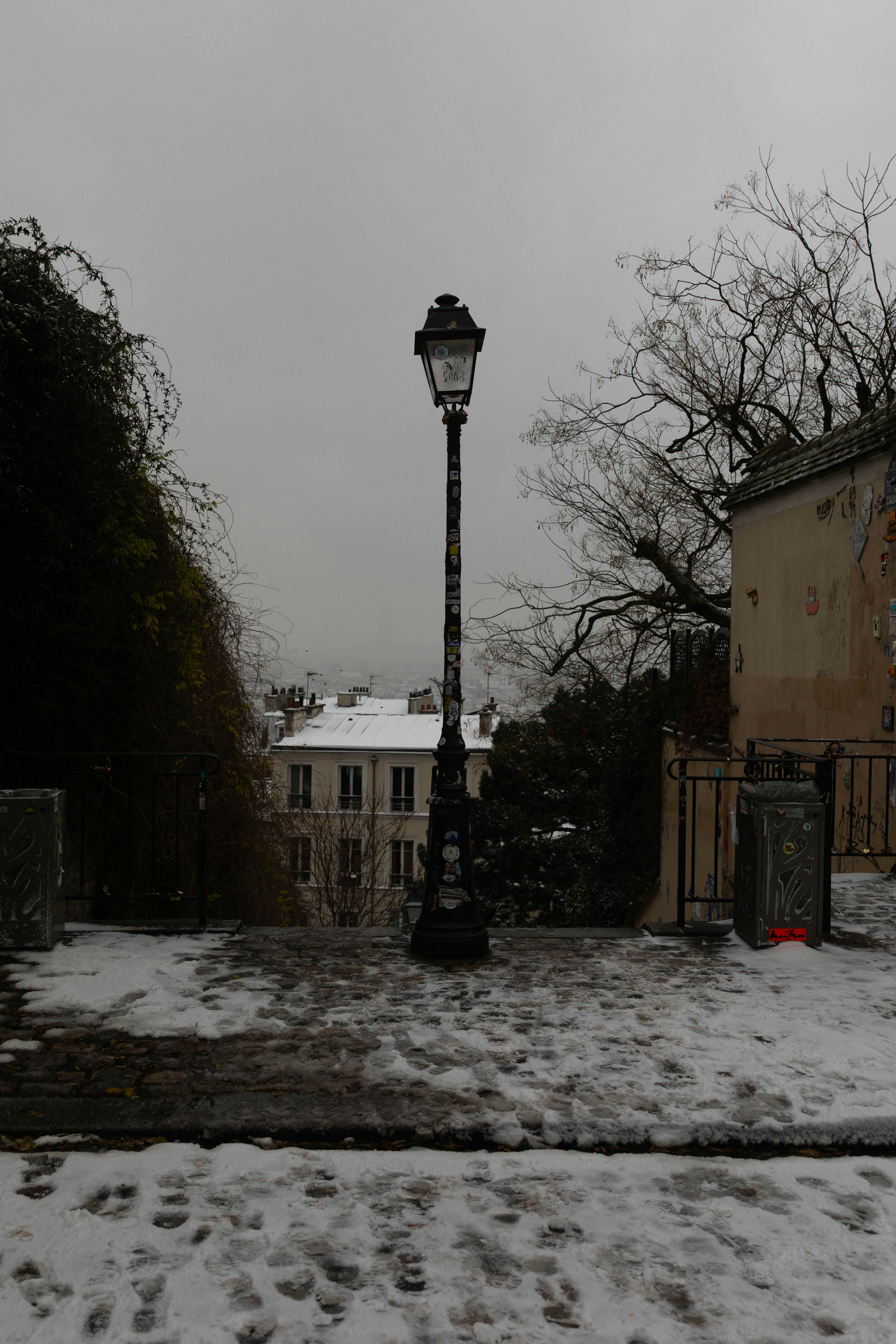 Snowbound Lantern: A Lonely Street Lamp Framed by Winter Silence