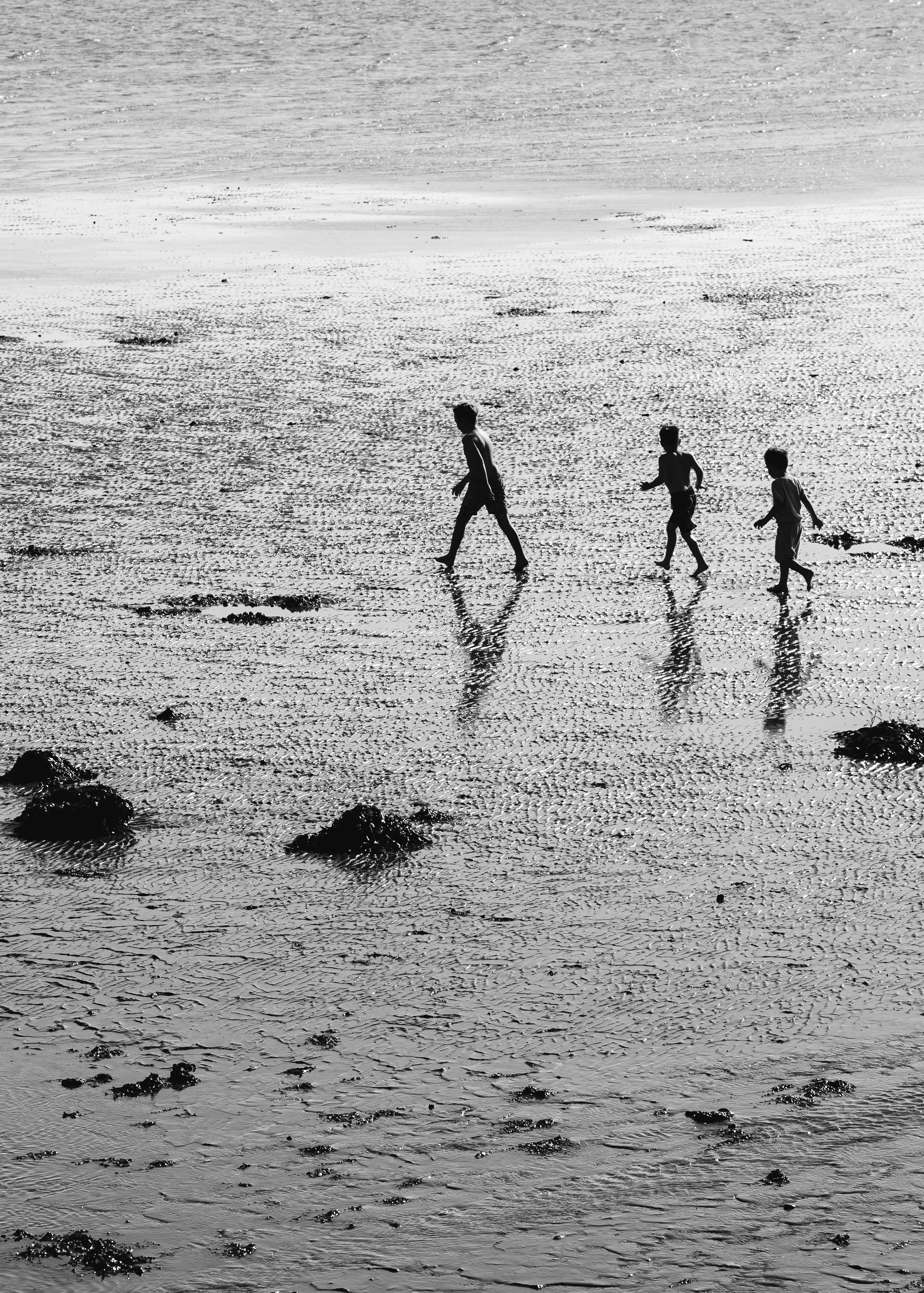 Three Silhouettes Stride Across Tide-slick Shore