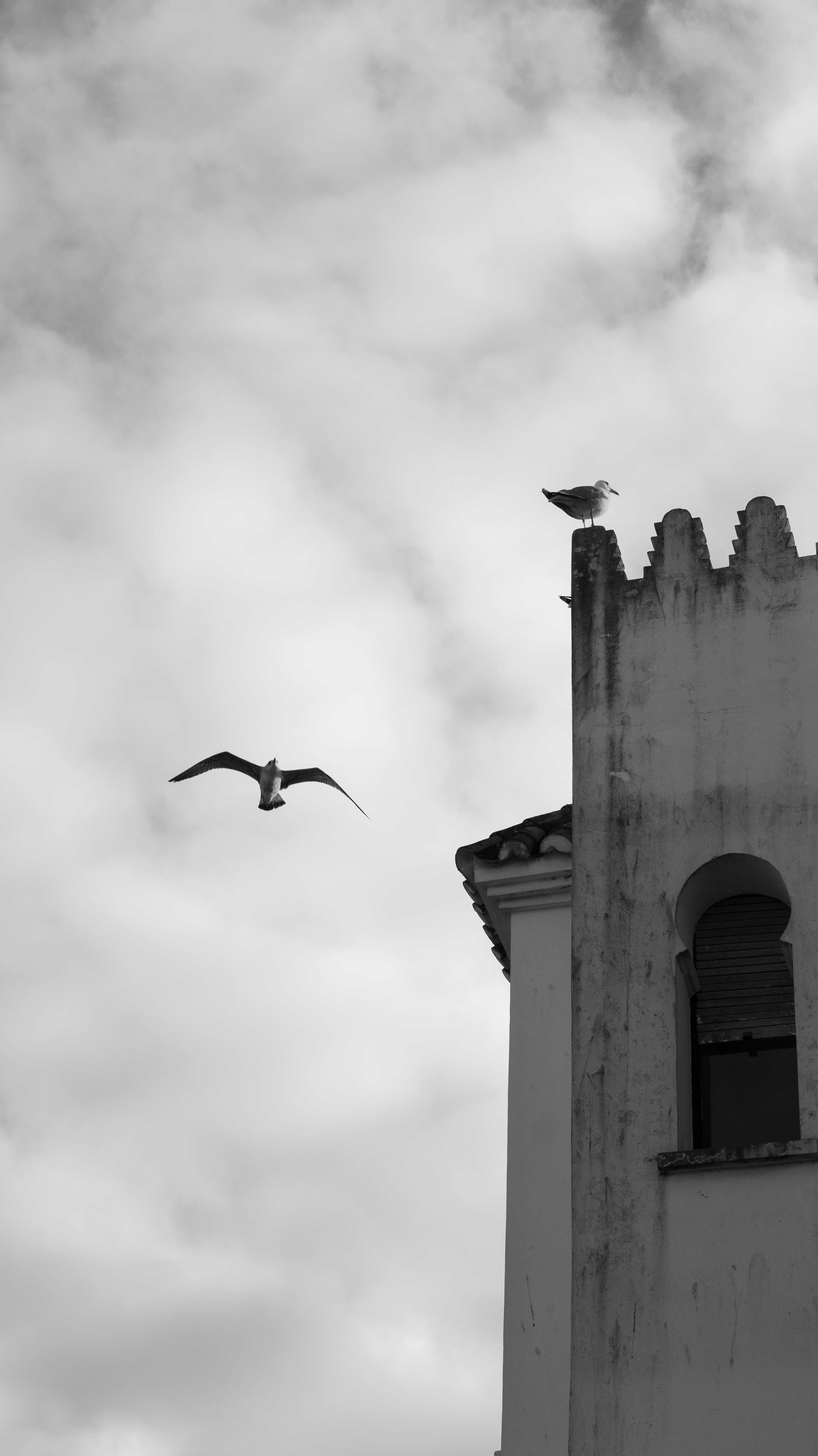 Winged Silhouette Over a Weathered Bell Tower