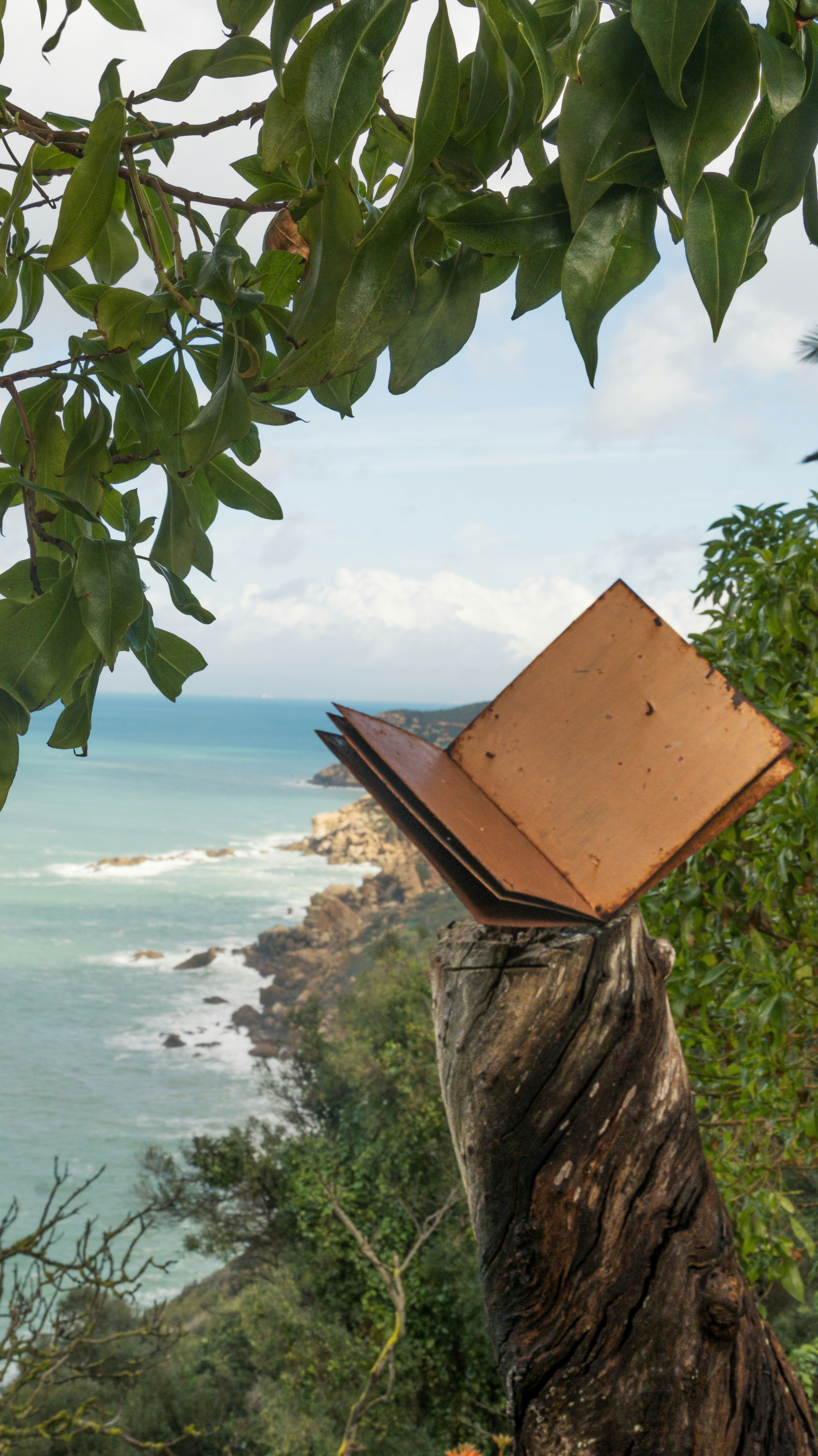 Rusty Book on a Windswept Cliff