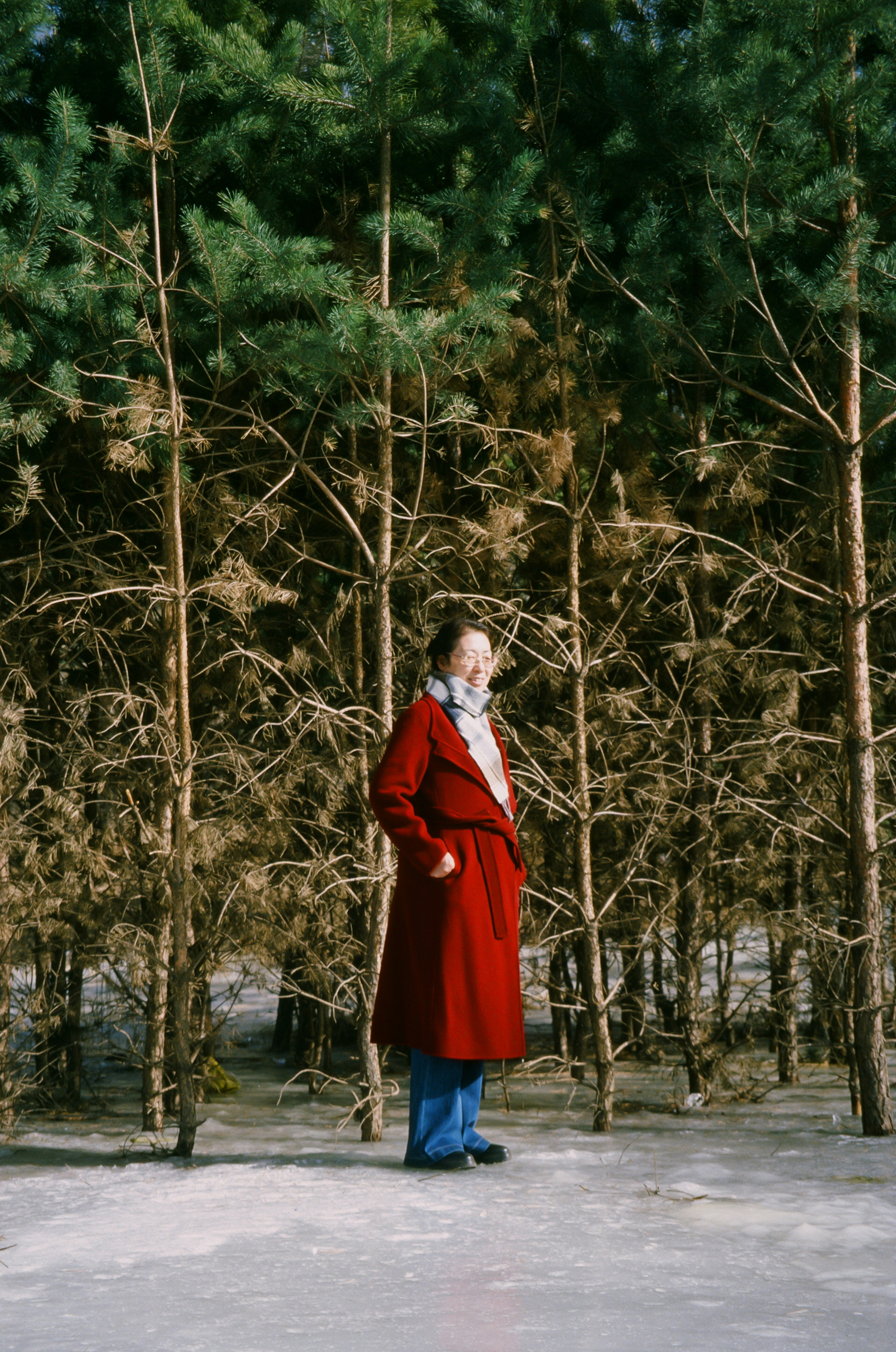 Woman in red coat stands in snowy pine forest