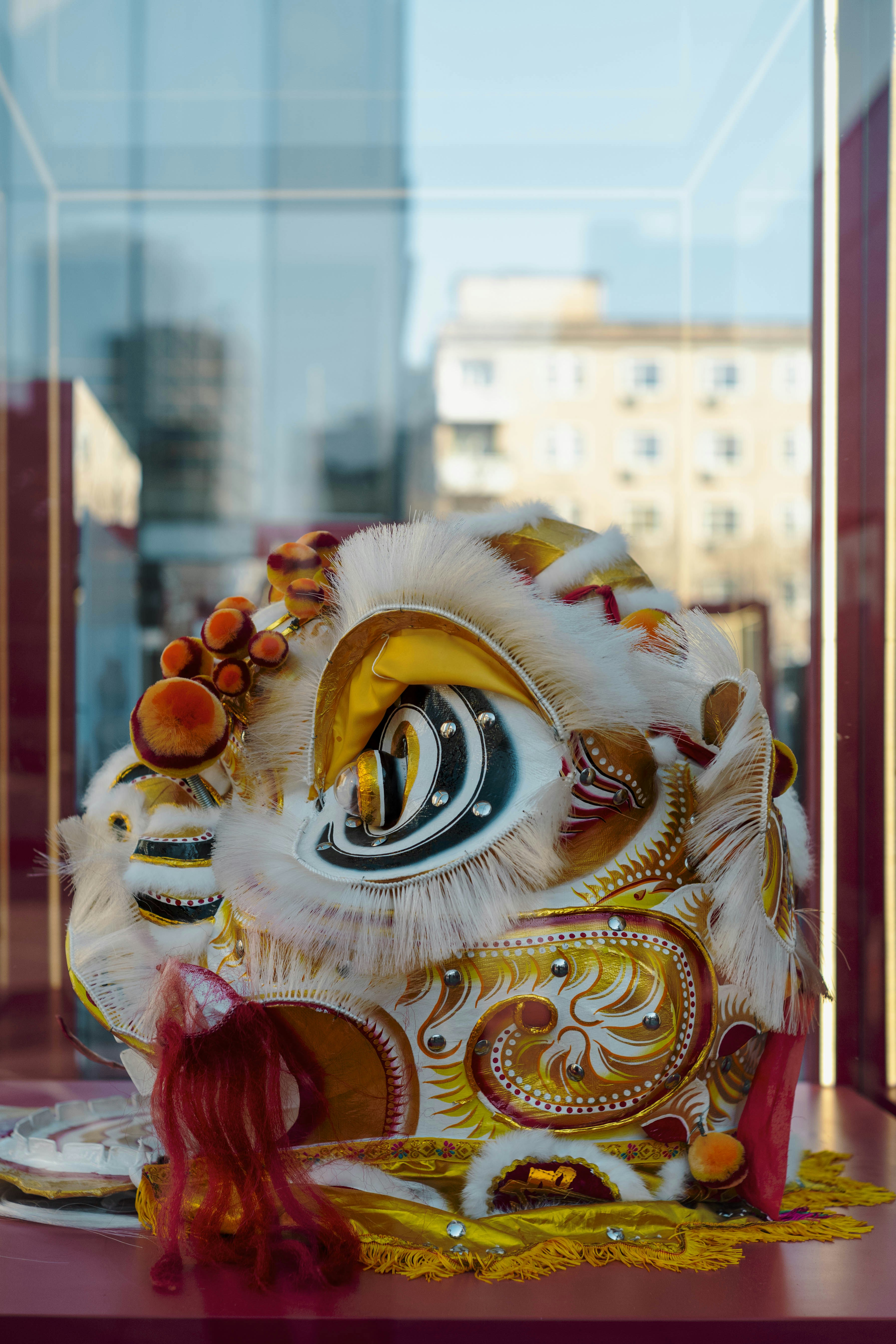 Luminous Dragon Head on Display: A Festive Mask in Glassed Studio