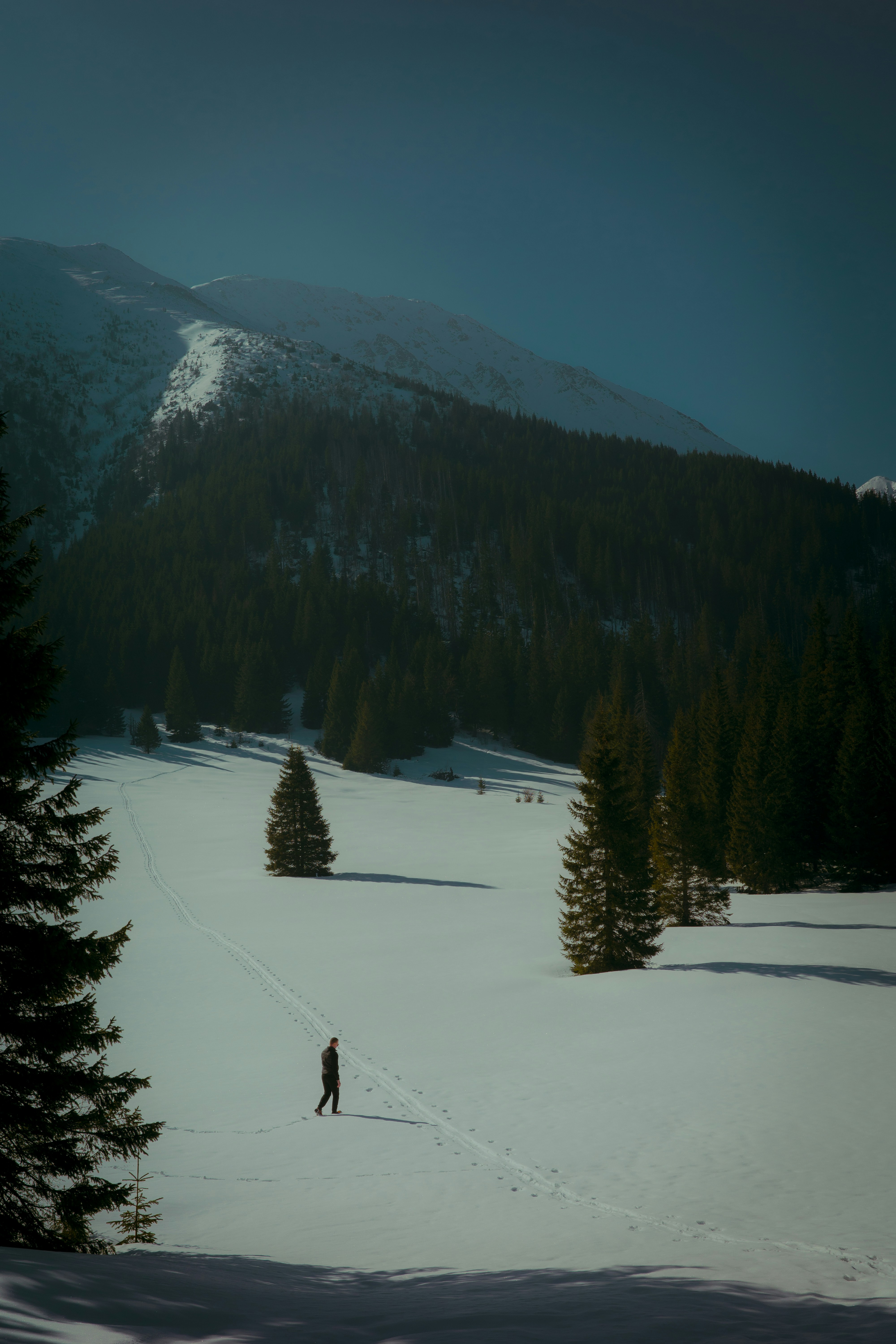 Single Traveler in a Quiet Snowfield Beneath Ice-Blue Dusk