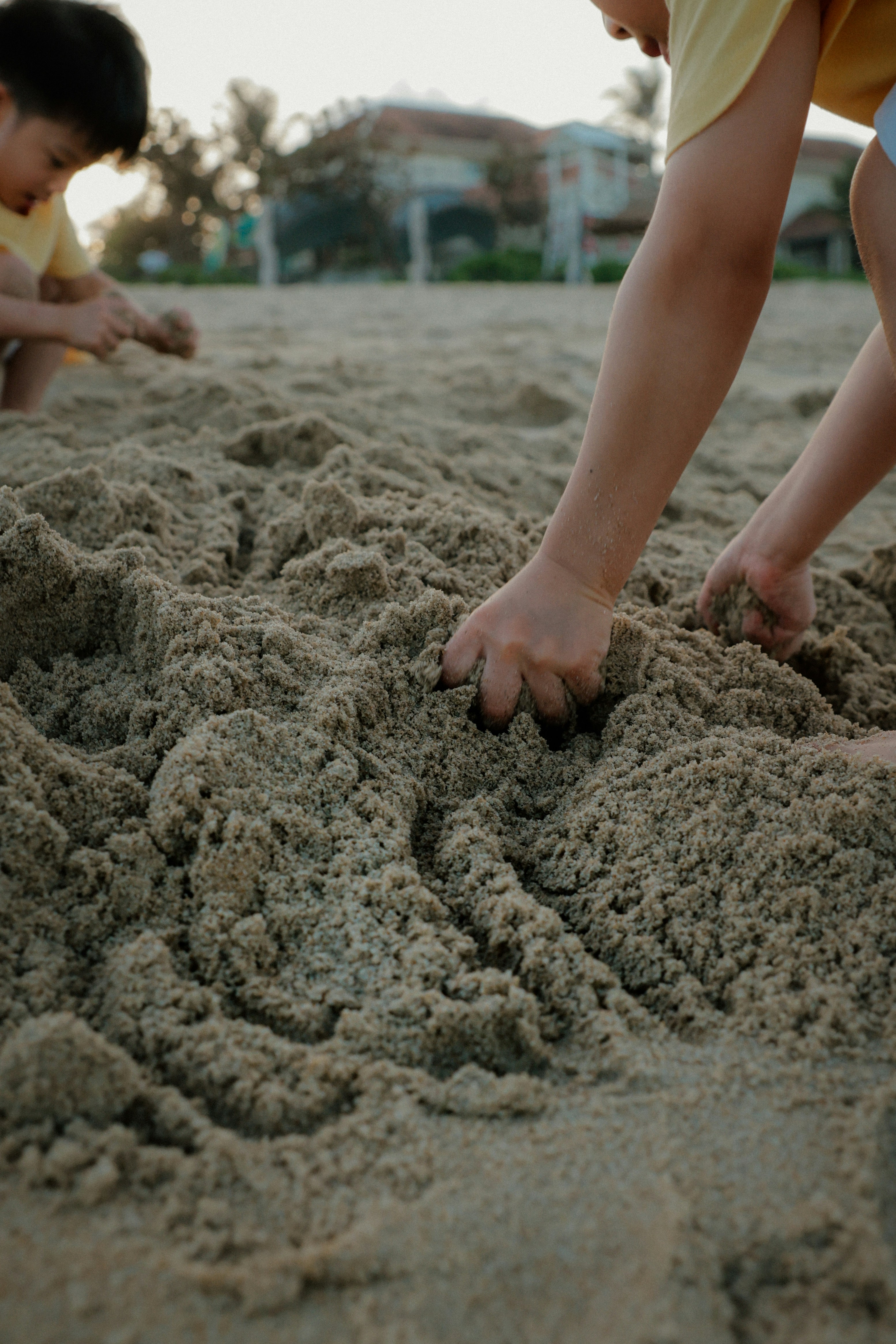 Hands in the Sand: A Moment of Shared Play