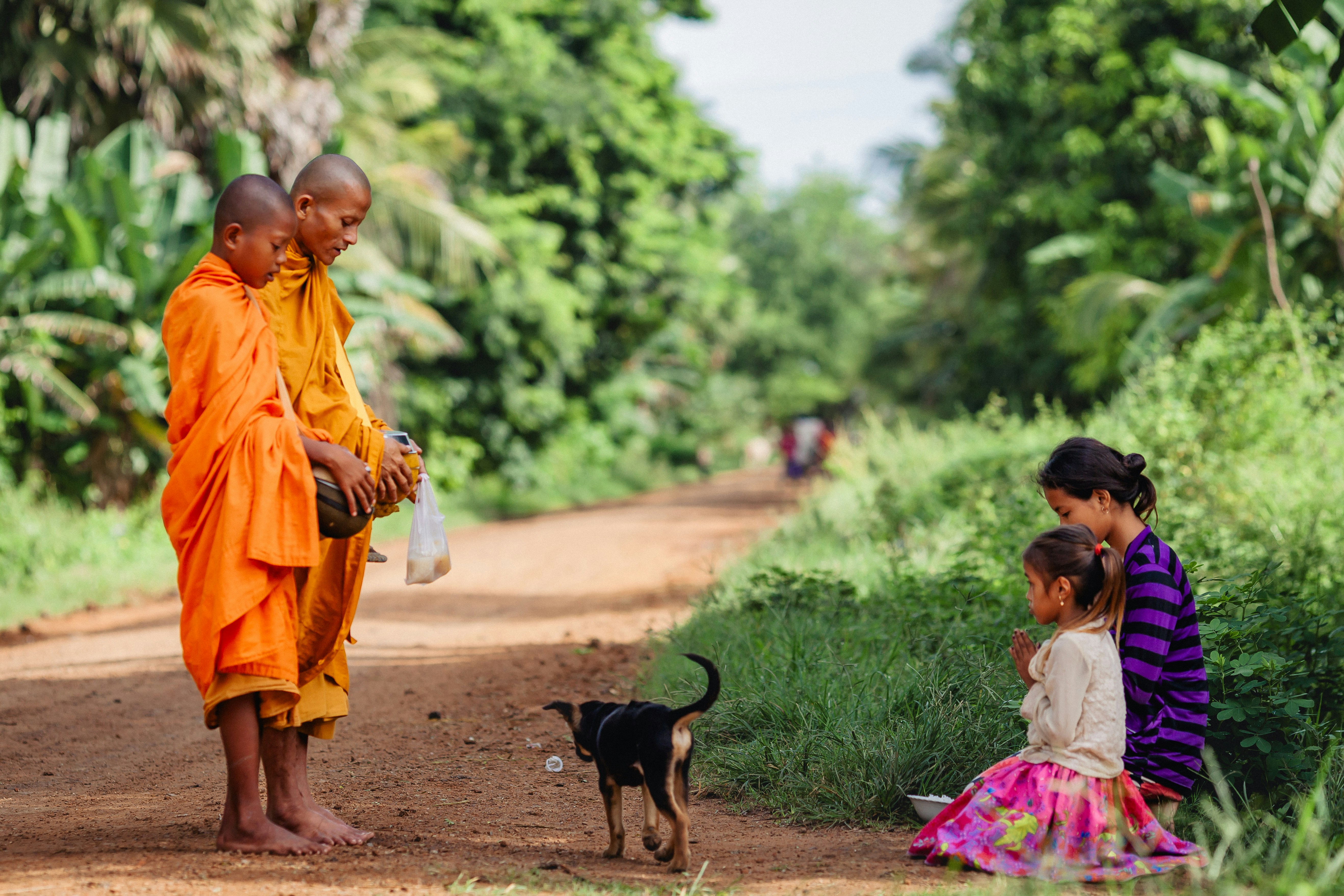 Quiet Exchange: Monks, Child, and Cat on a Rural Path