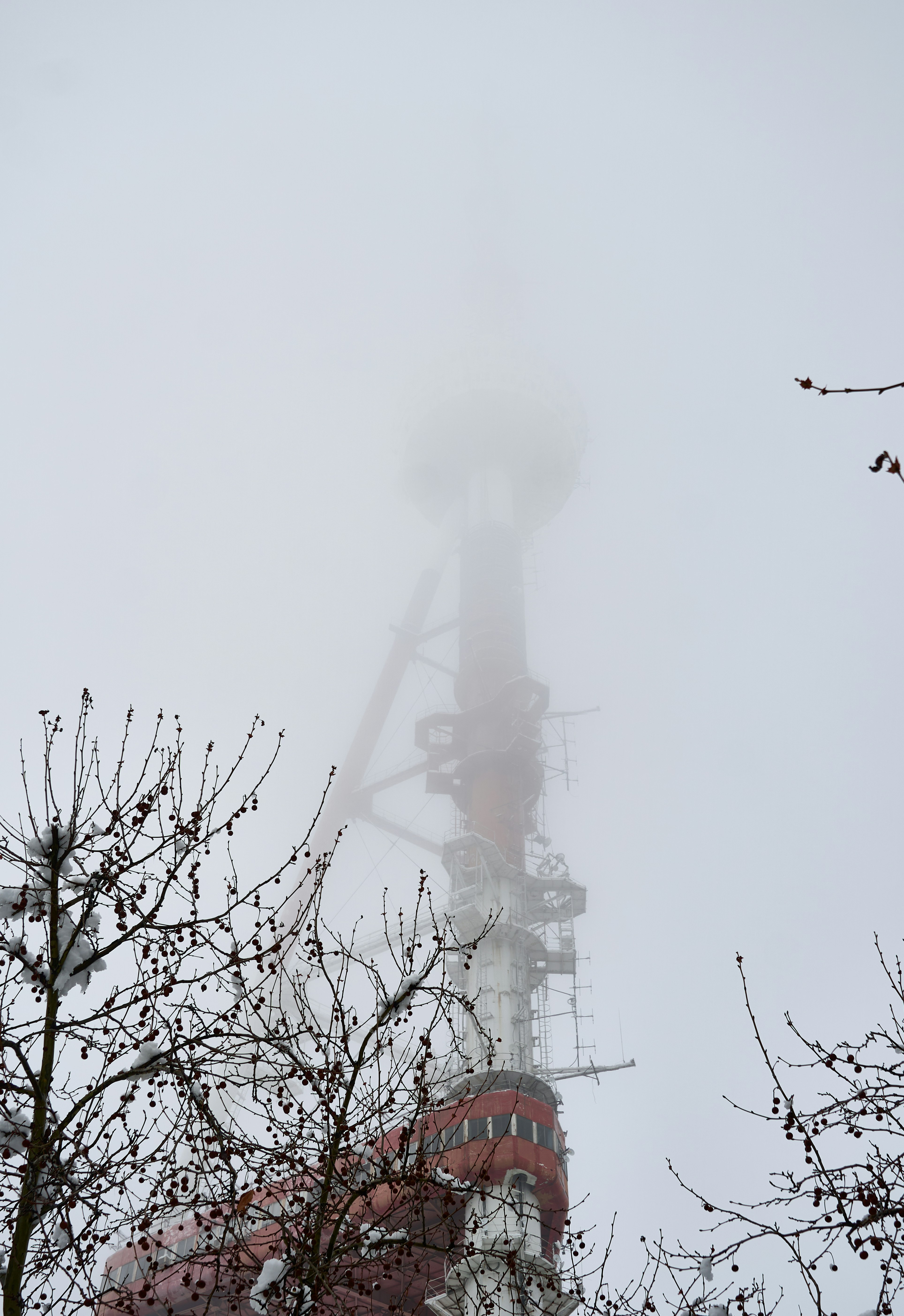 Fogbound Mast: A Telecommunication Tower Lost in White