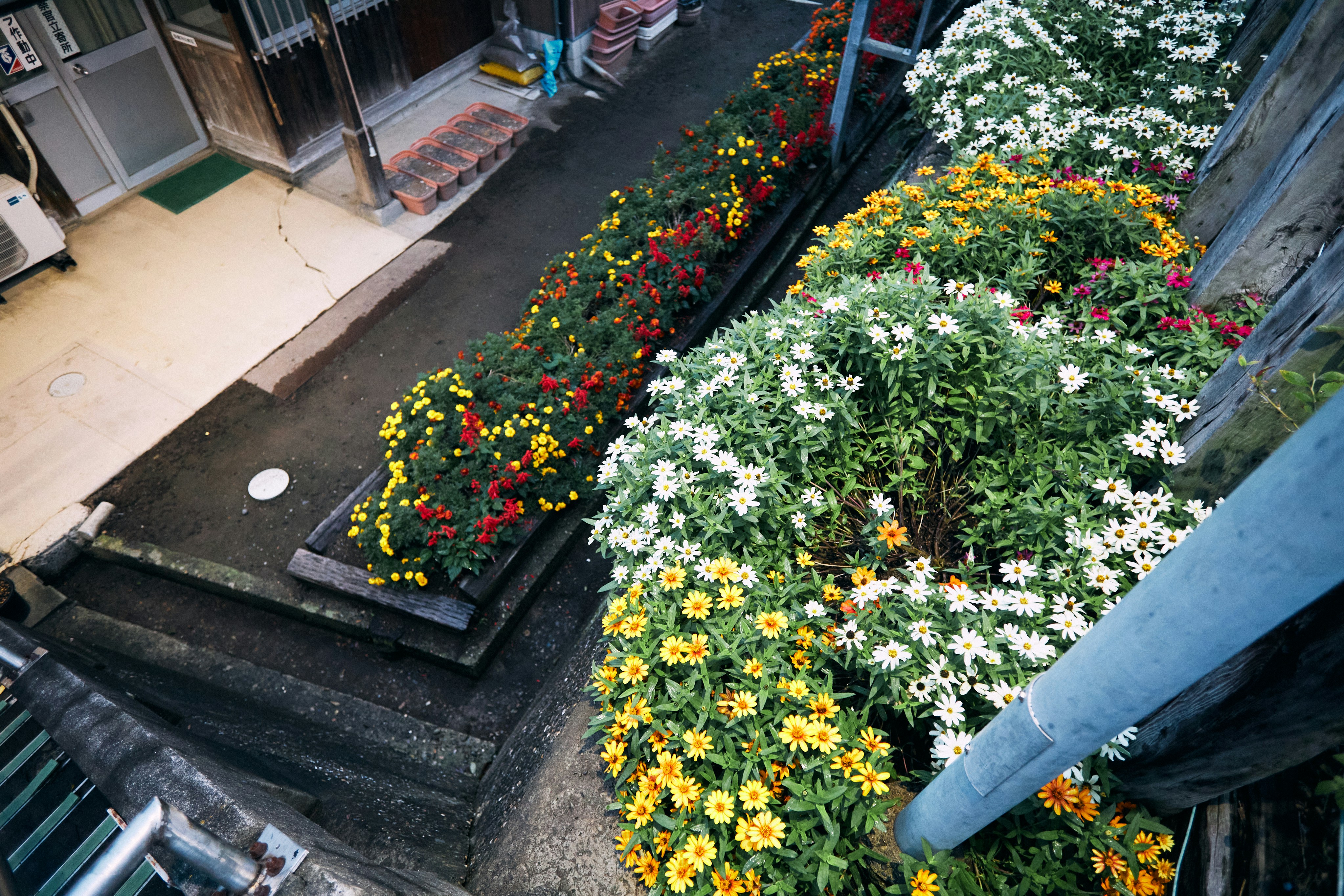 Urban Stairwell Blossoms: A Colorful Balcony Verge Down a Flight of Steps