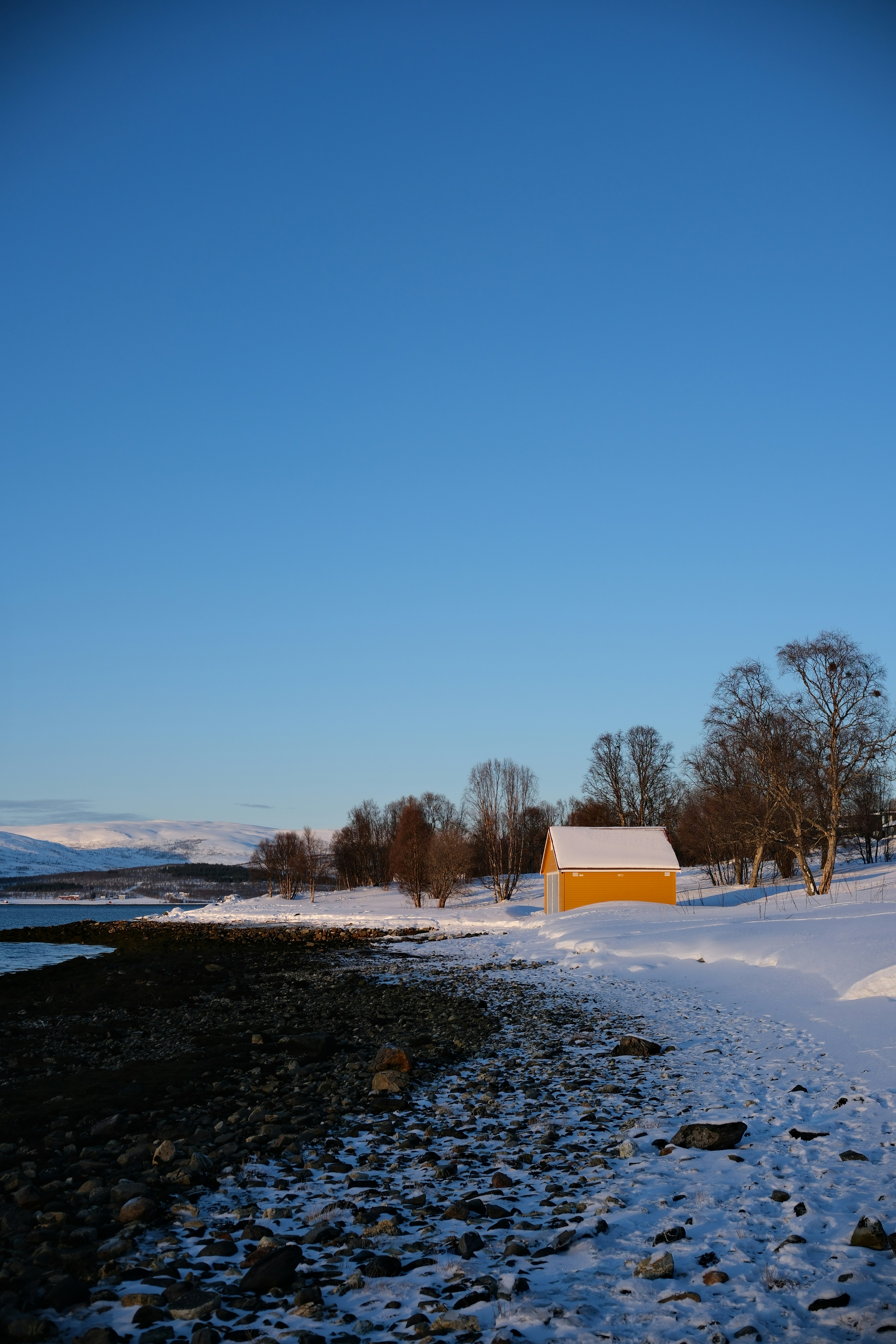 Golden Cabin Amid Snowy Shore Under Open Blue