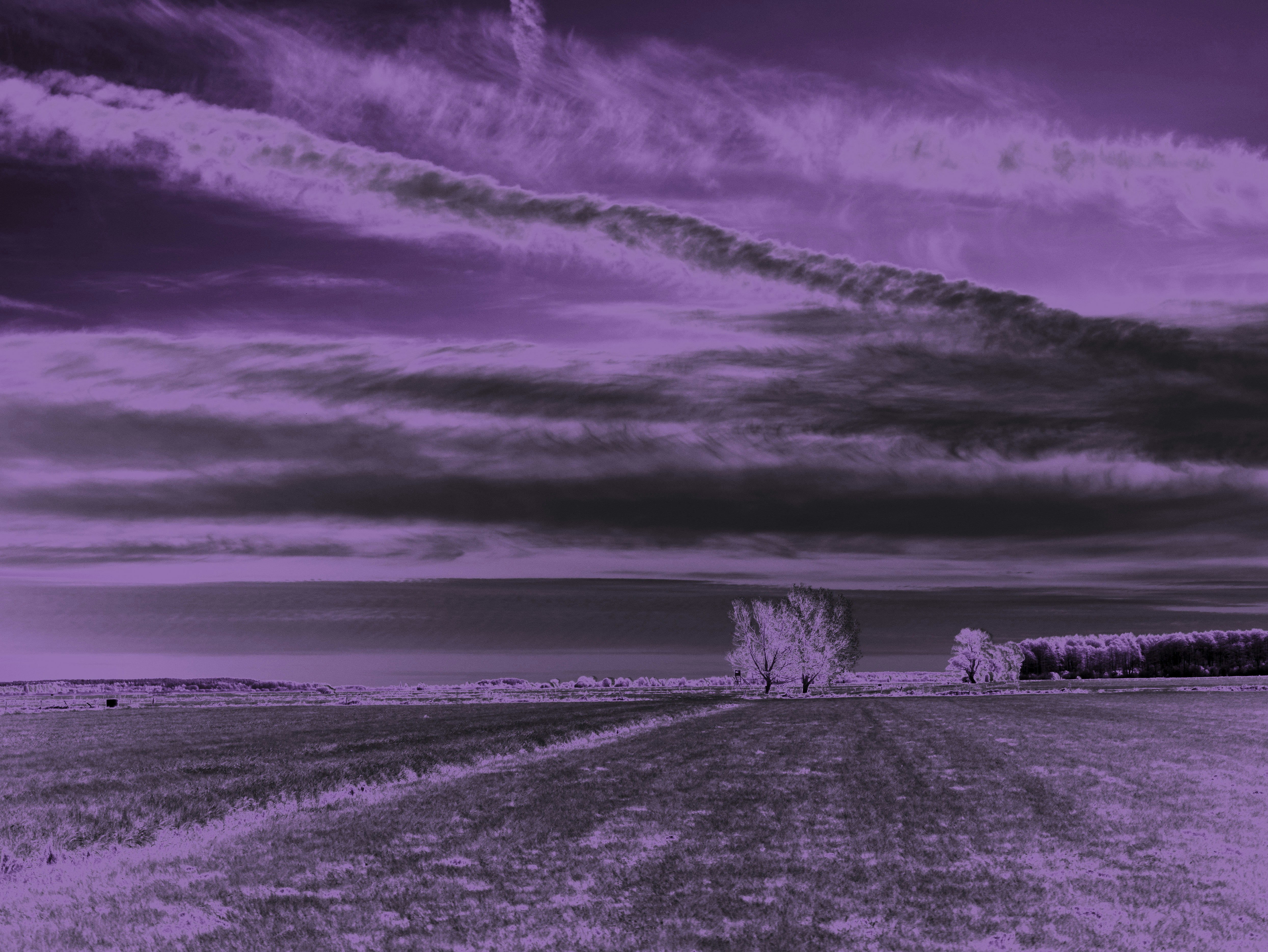 Purple Horizon: A solitary furrow under a lavender sky