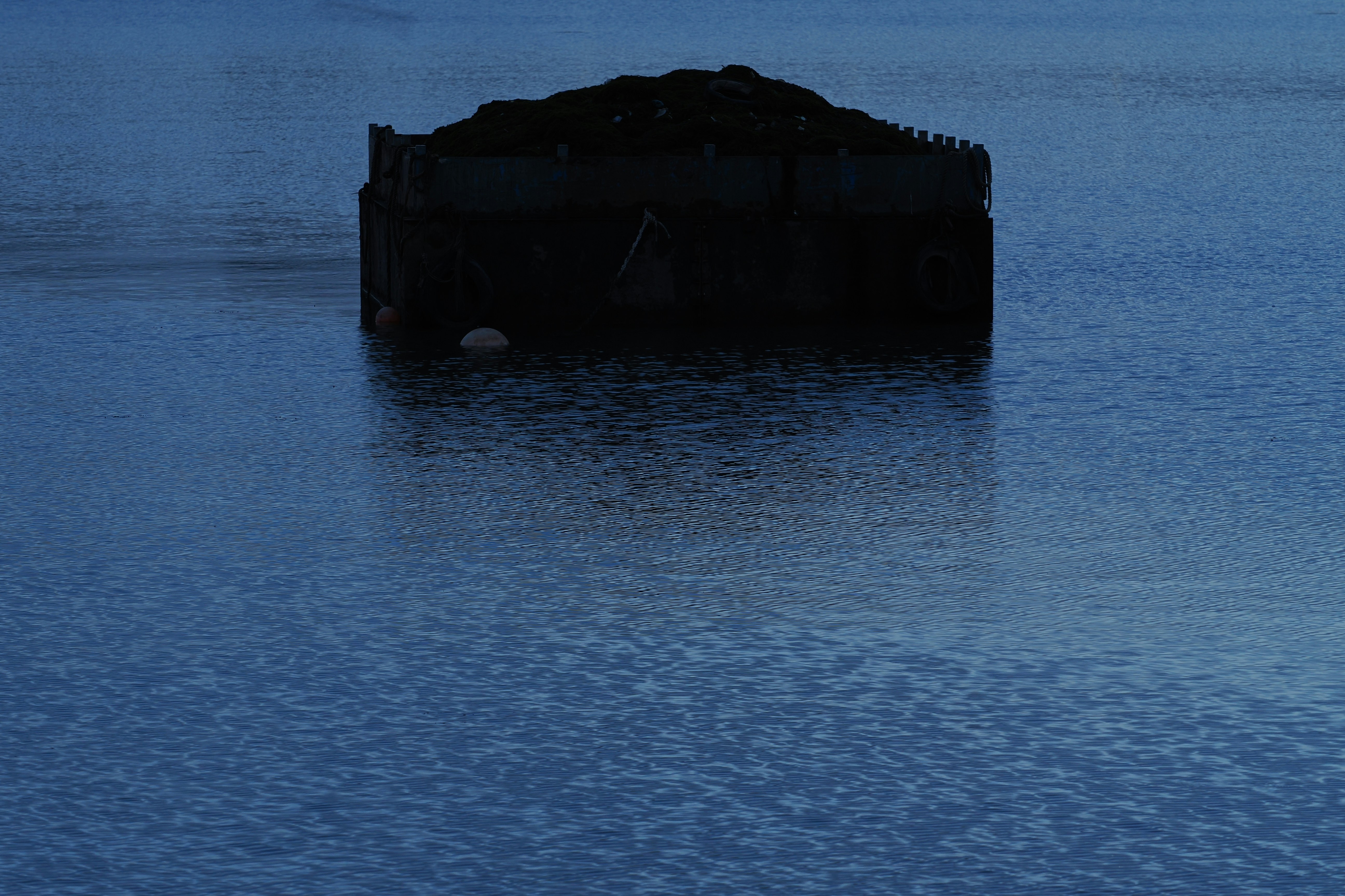 Sunken Barge at Dusk: Quiet Blue Isolation