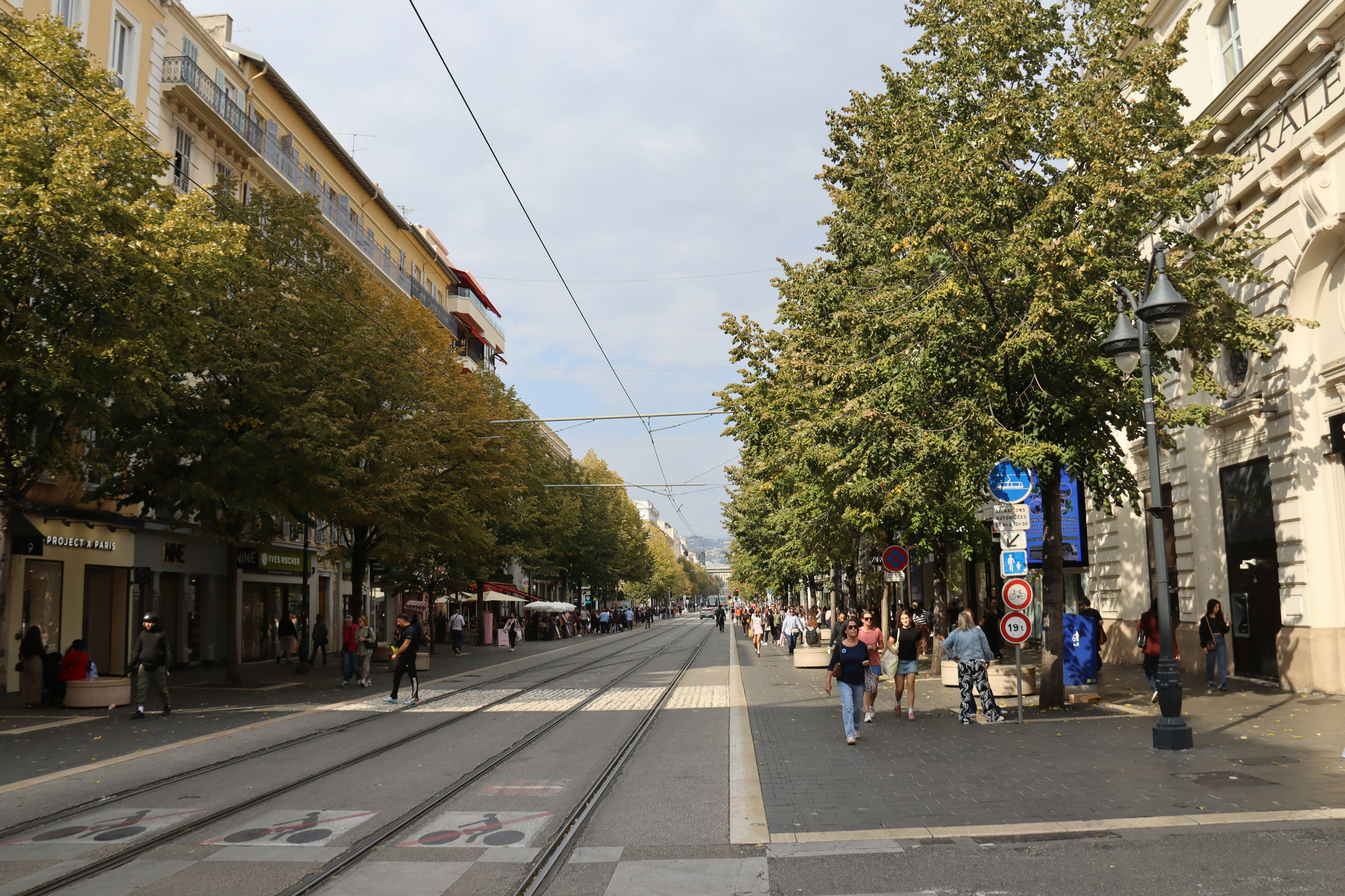 City Boulevard in Soft Autumn Light