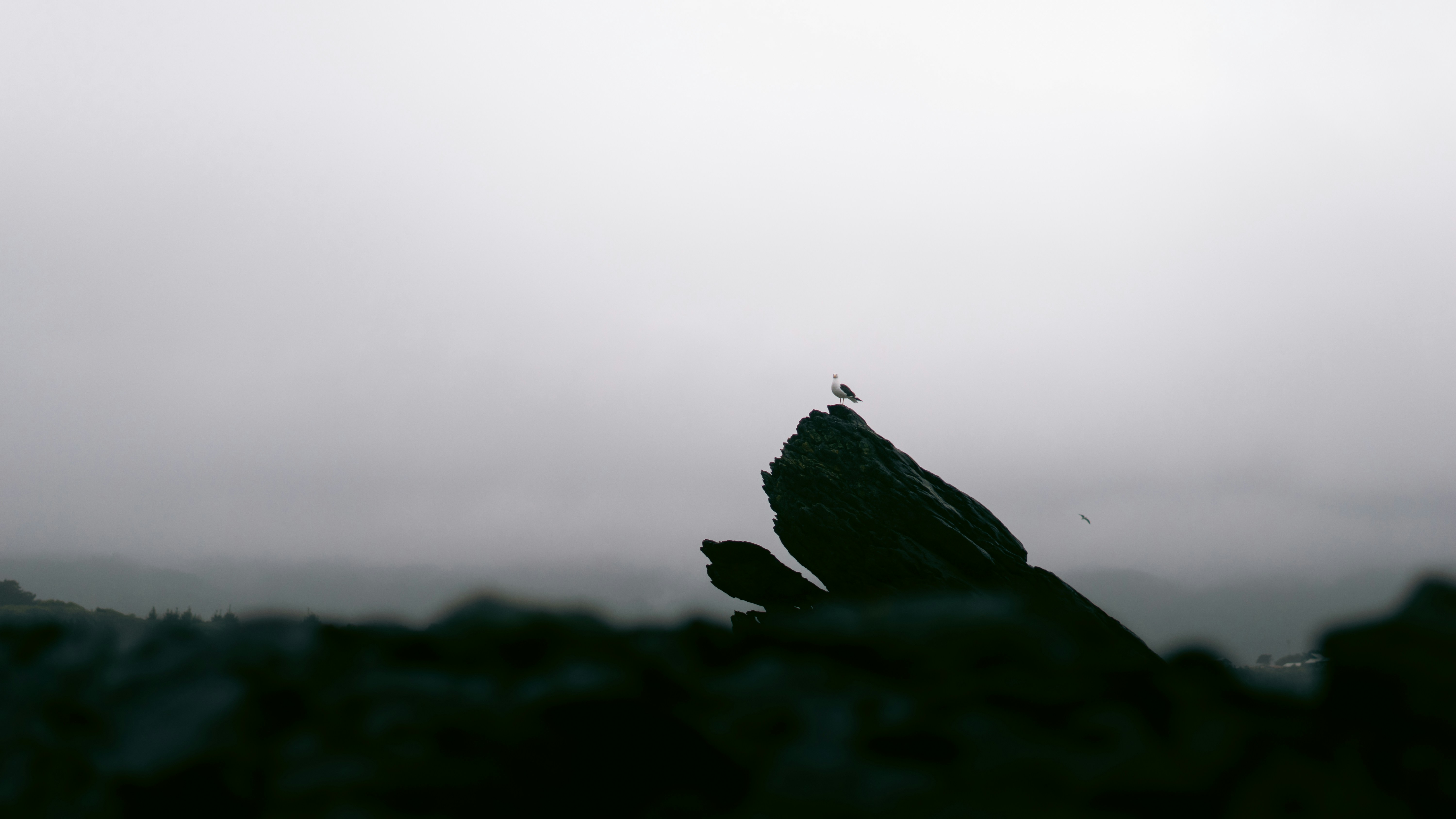 Silhouette on the Break: A Lone Rock against Dim Horizons