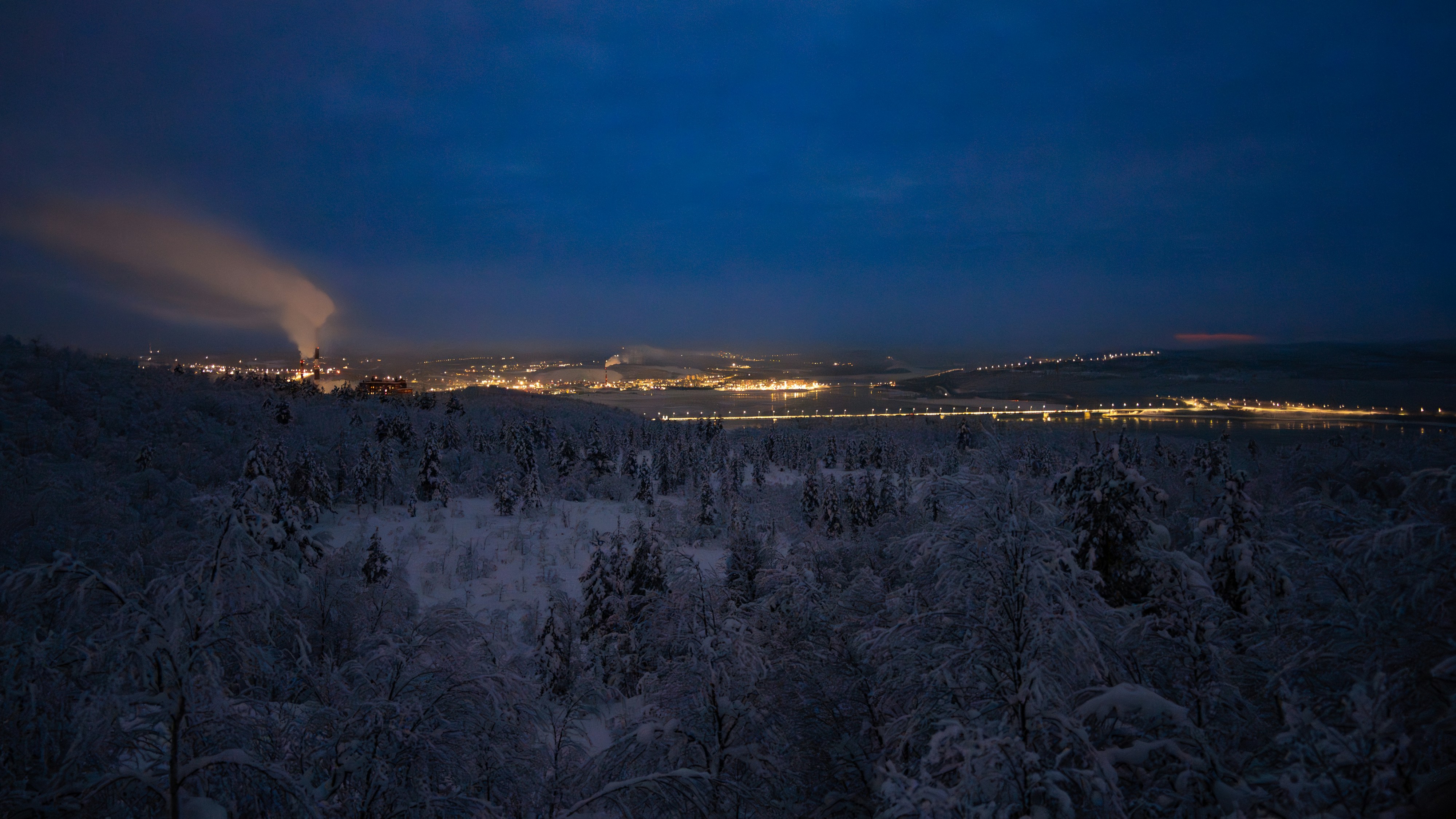Glowing Horizon Over Snow-Blanketed Pines