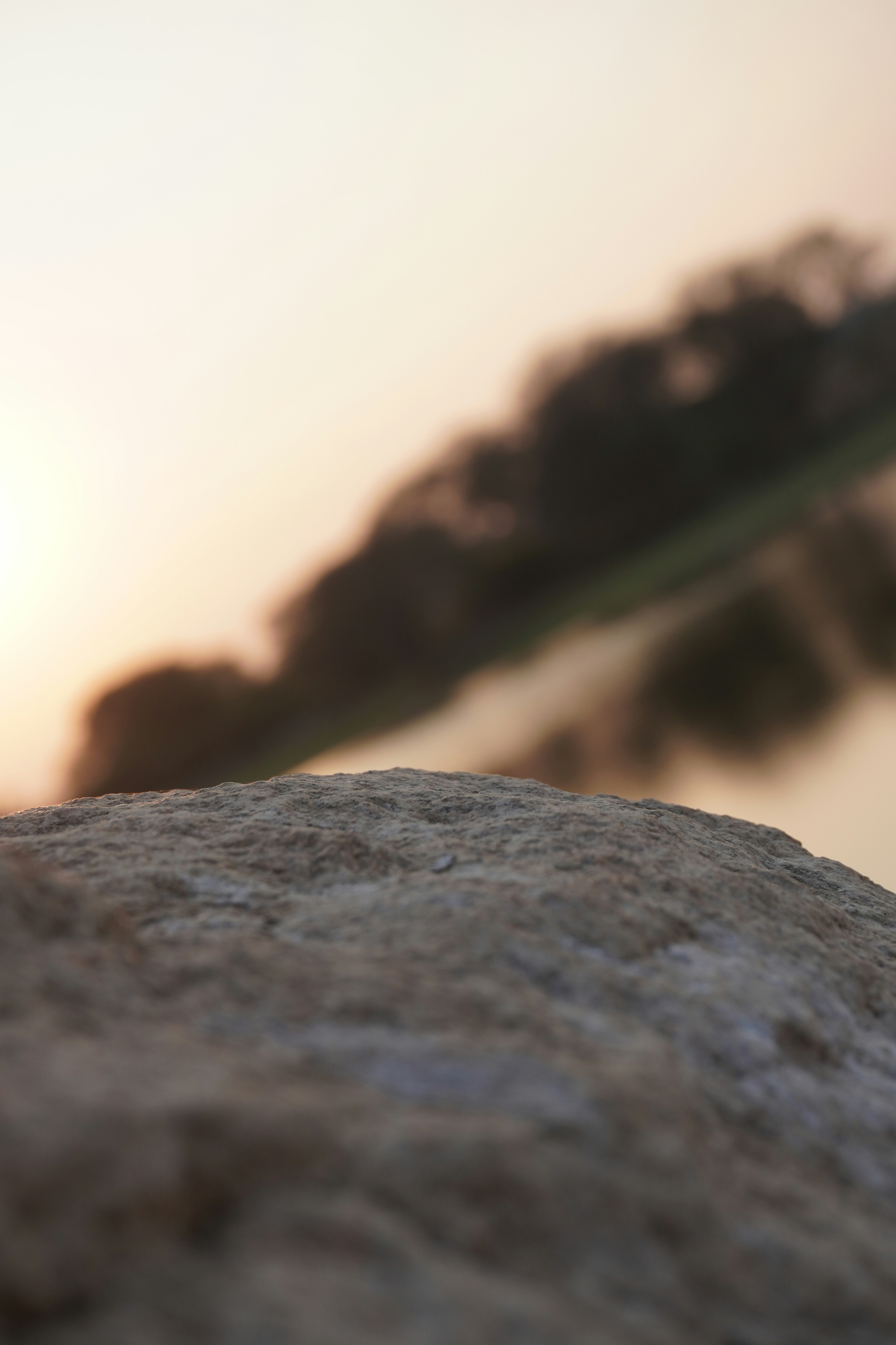 Rugged cliff edge at golden hour with distant water and trees