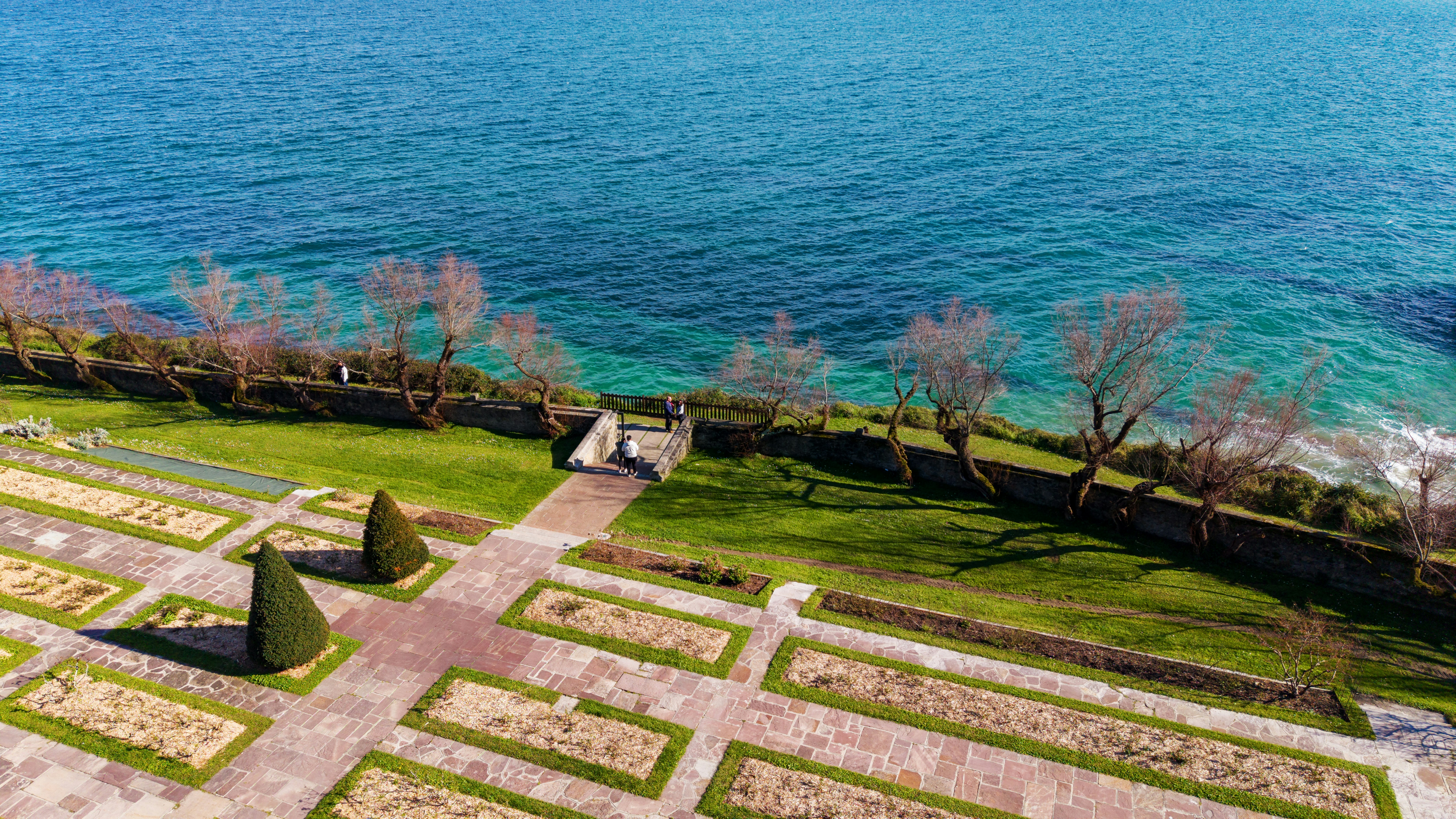 Terraced Sea: Aerial Garden Framing the Ocean Edge