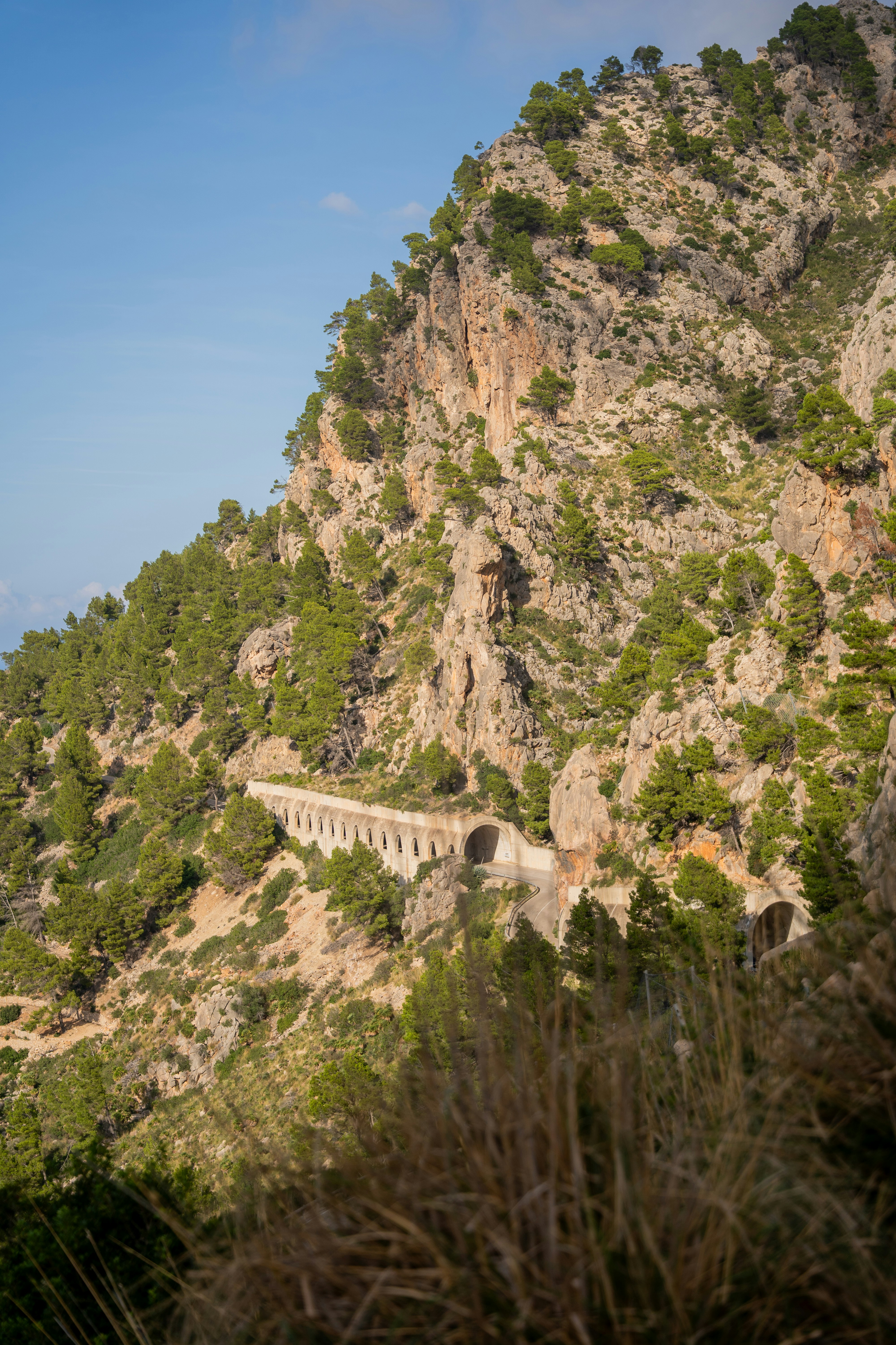 Rocky Crest Overlook: Viaduct Carved Into a Pine-Strewn Cliff