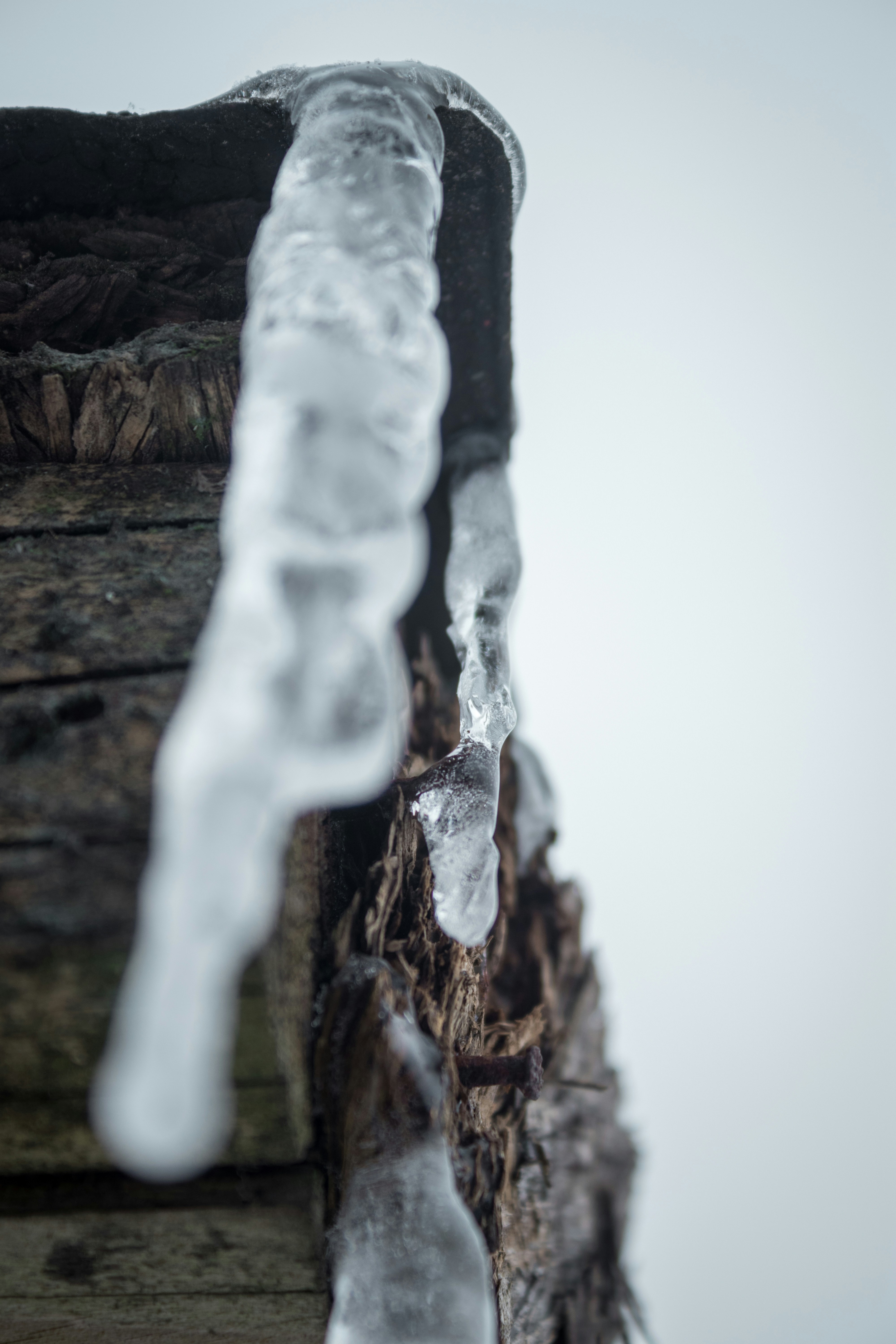 Icicle Trail along Weathered Wood