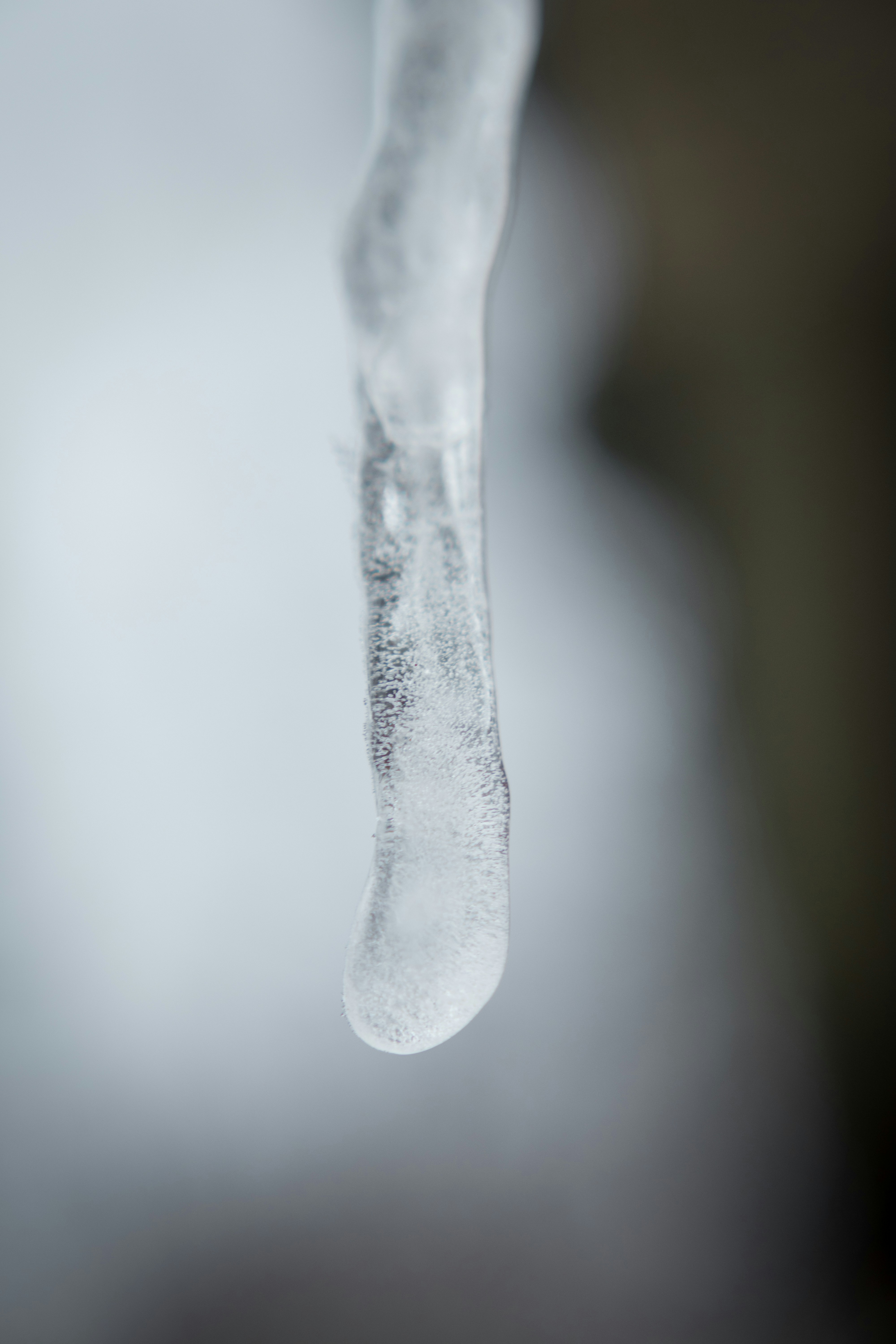 Icicle Surge: a single frost droplet dangling in quiet focus