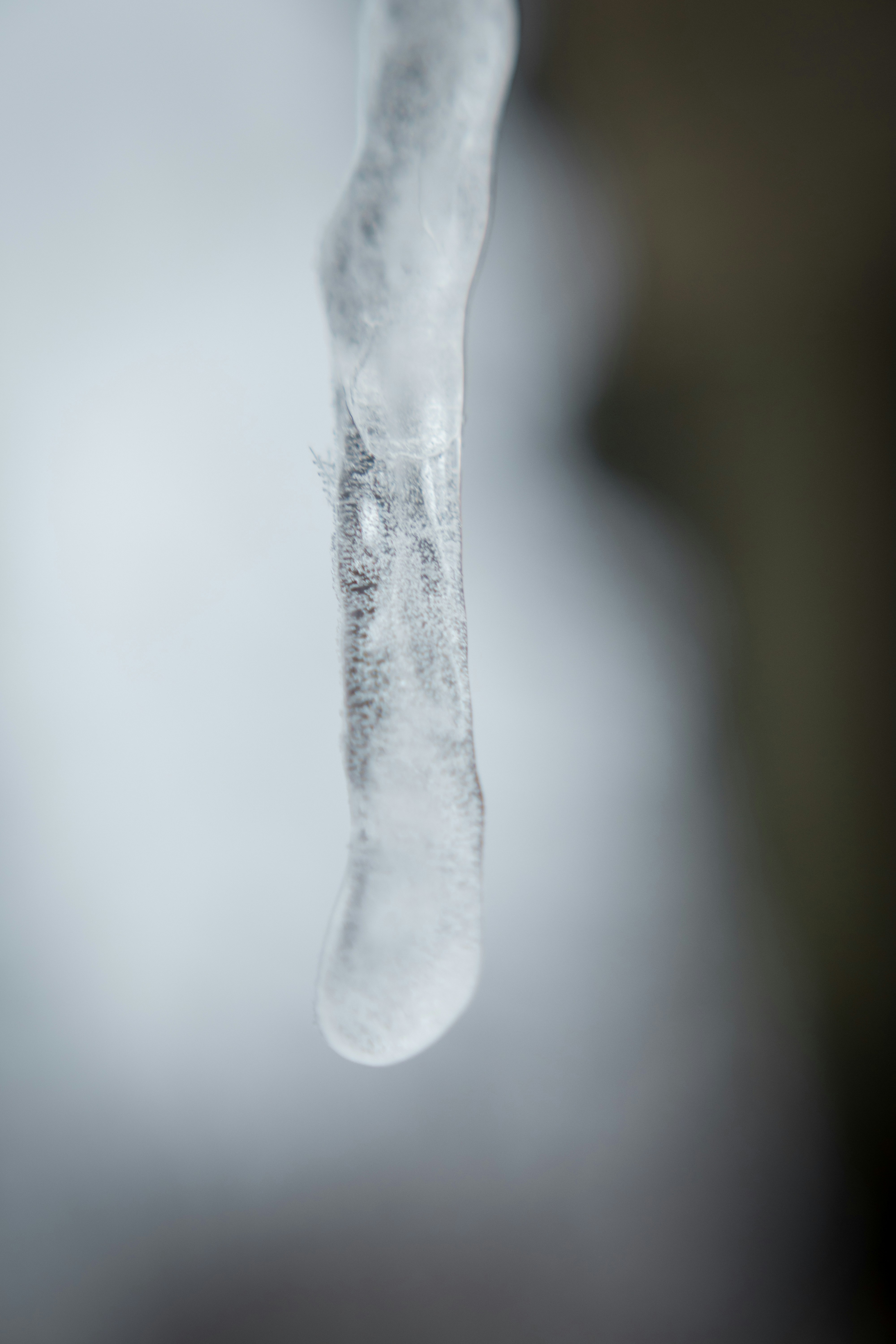 A solitary icicle: delicate elongation in soft focus