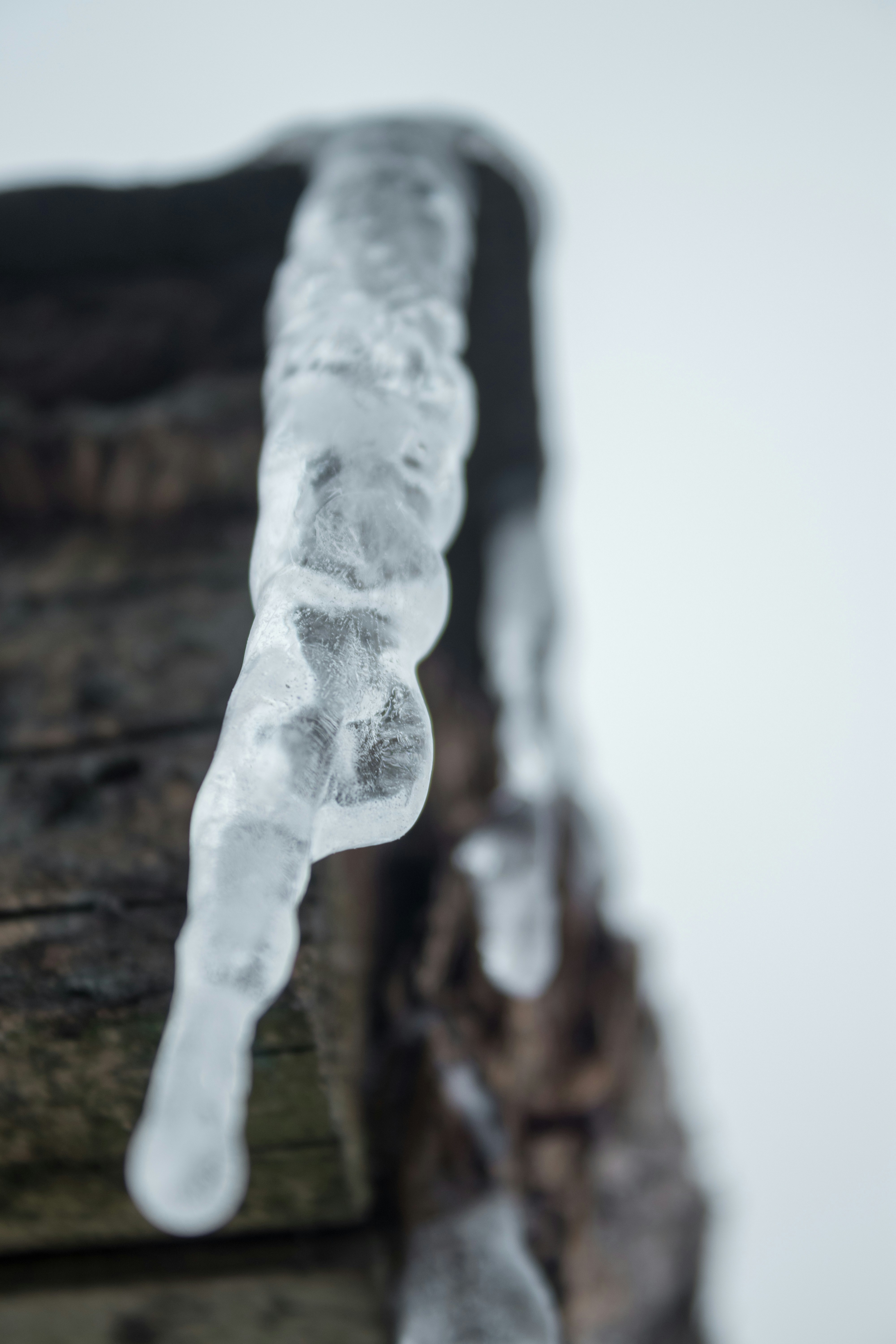 Icicle Spiral Clinging to Weathered Wood
