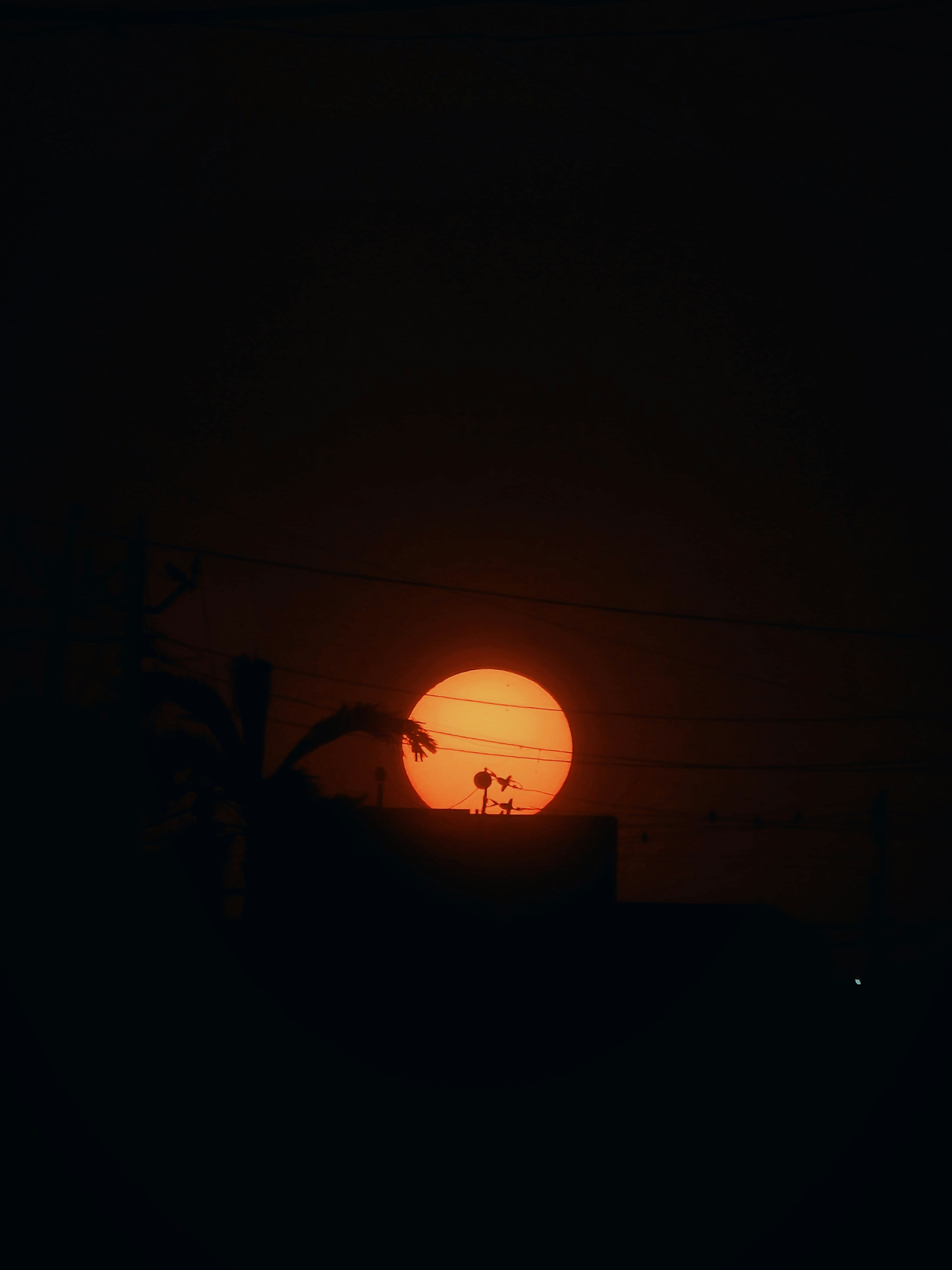 Crimson Orb on the Horizon: Sunset Behind Silhouetted Rooftops