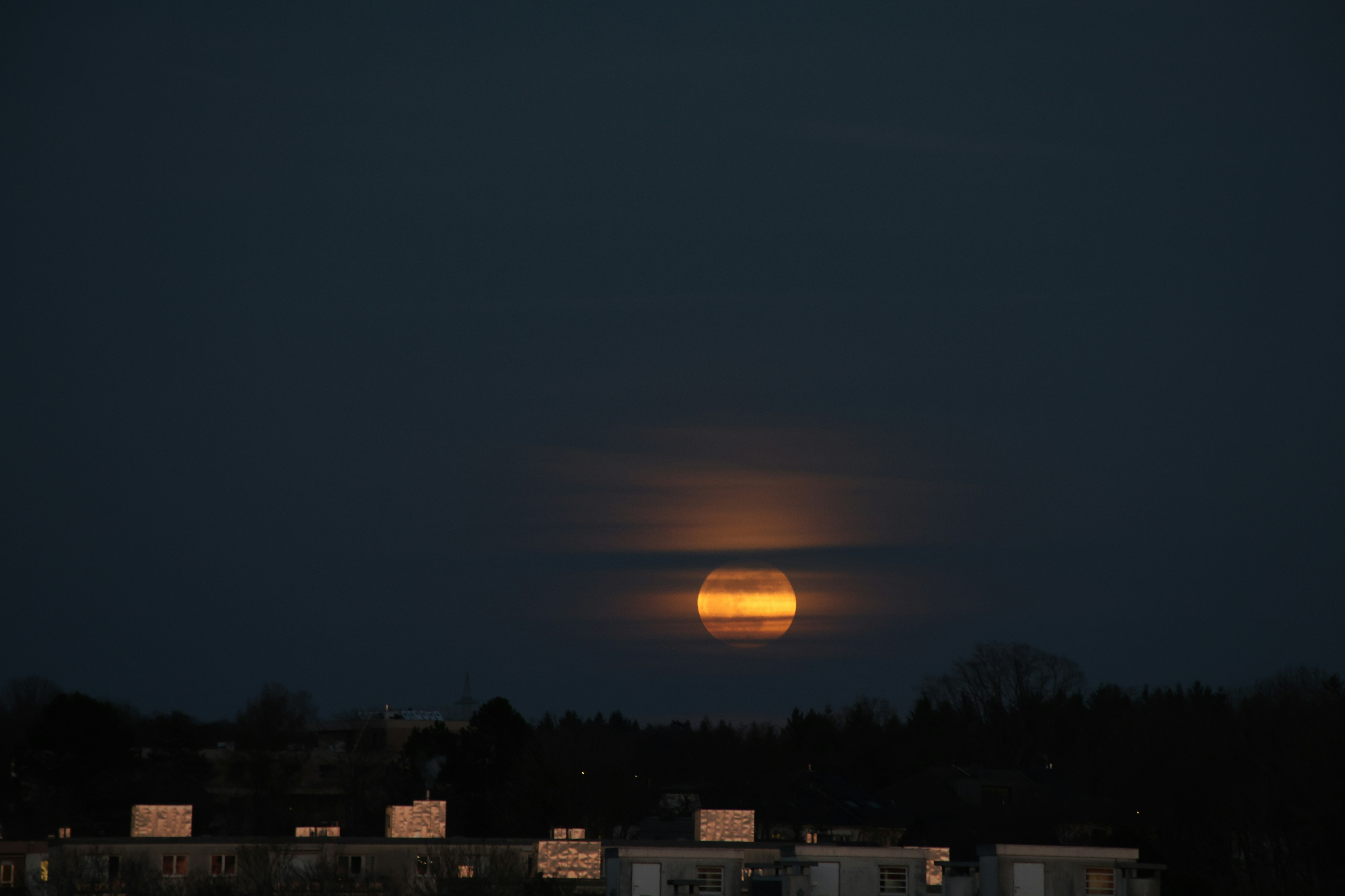 Low Moonrise Over a Quiet Suburban Horizon