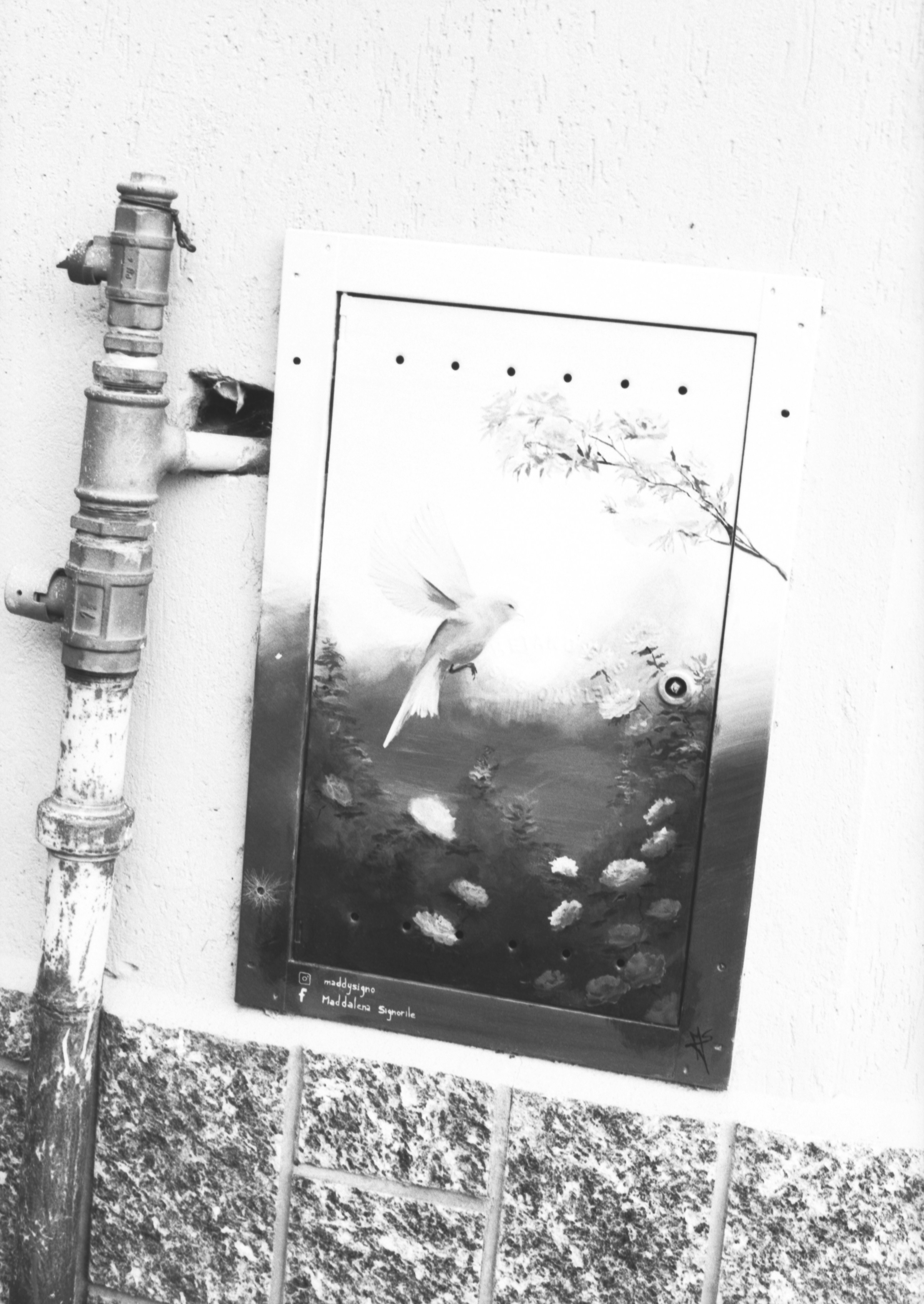 Painting of a bird flying over flowers