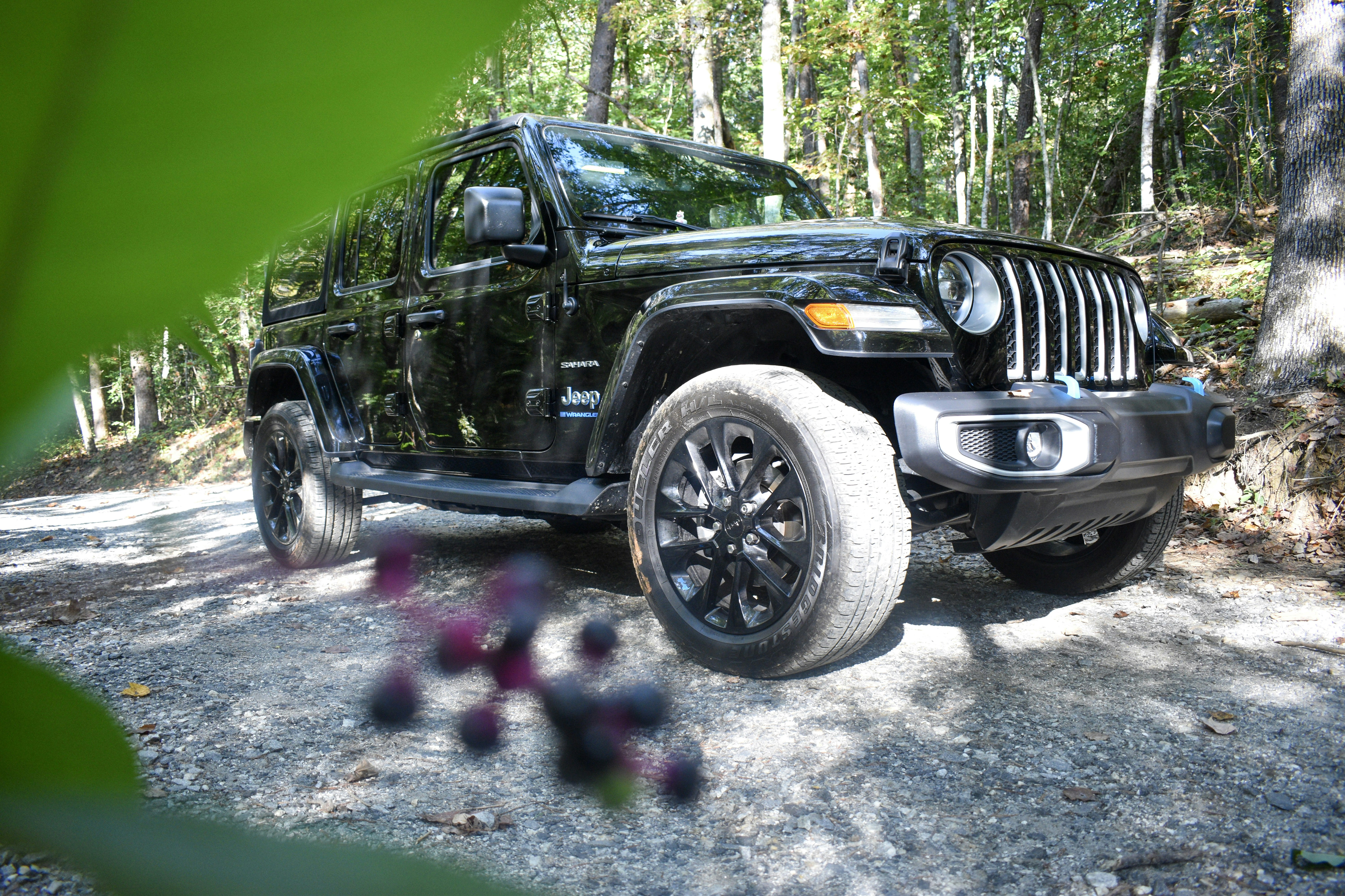 Sturdy Black Jeep Pauses on a Forest Gravel Road