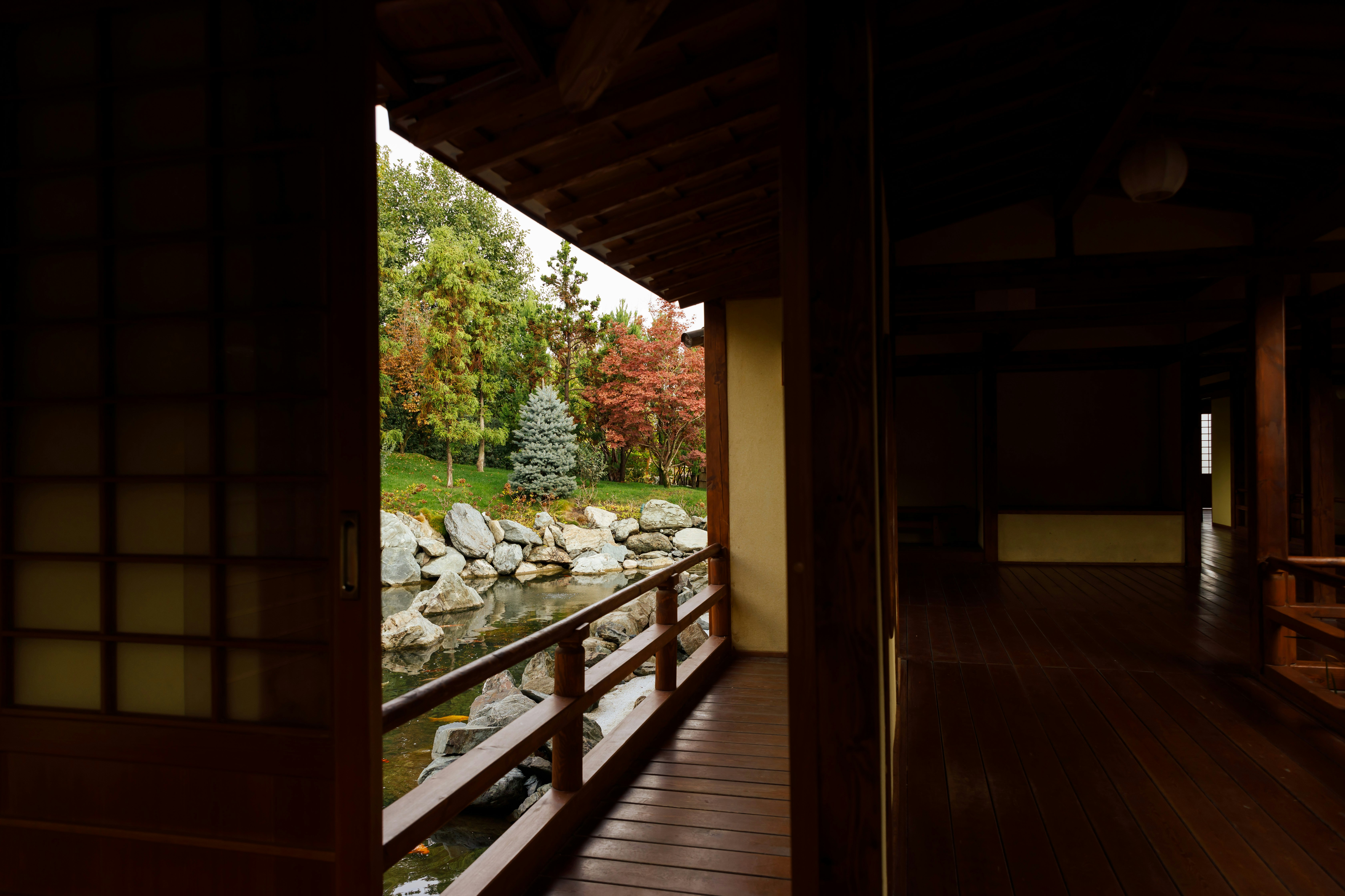 Silent Corridor of Autumn Light