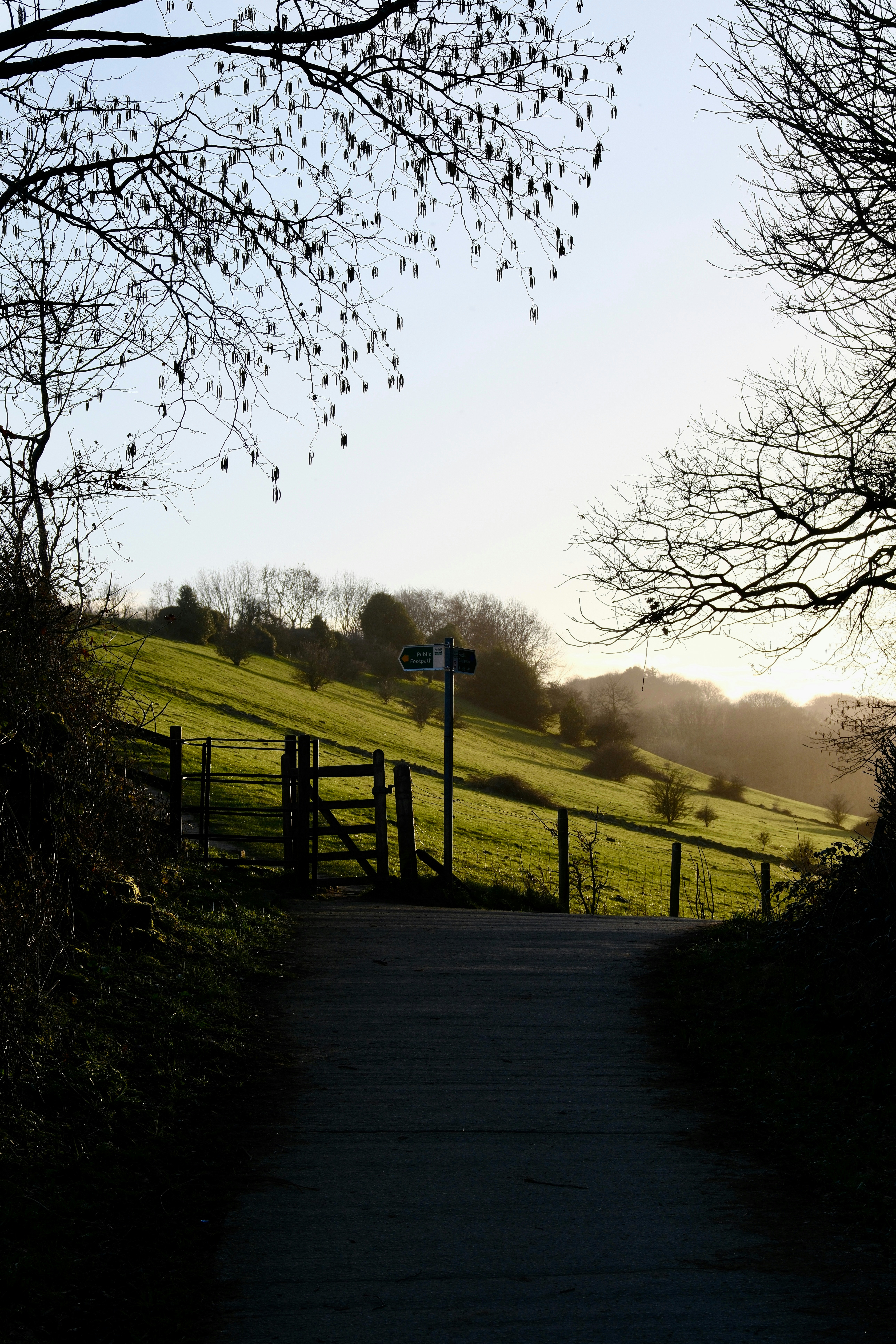 Golden Hour Gate: A Quiet Lane Between Dusk and Field