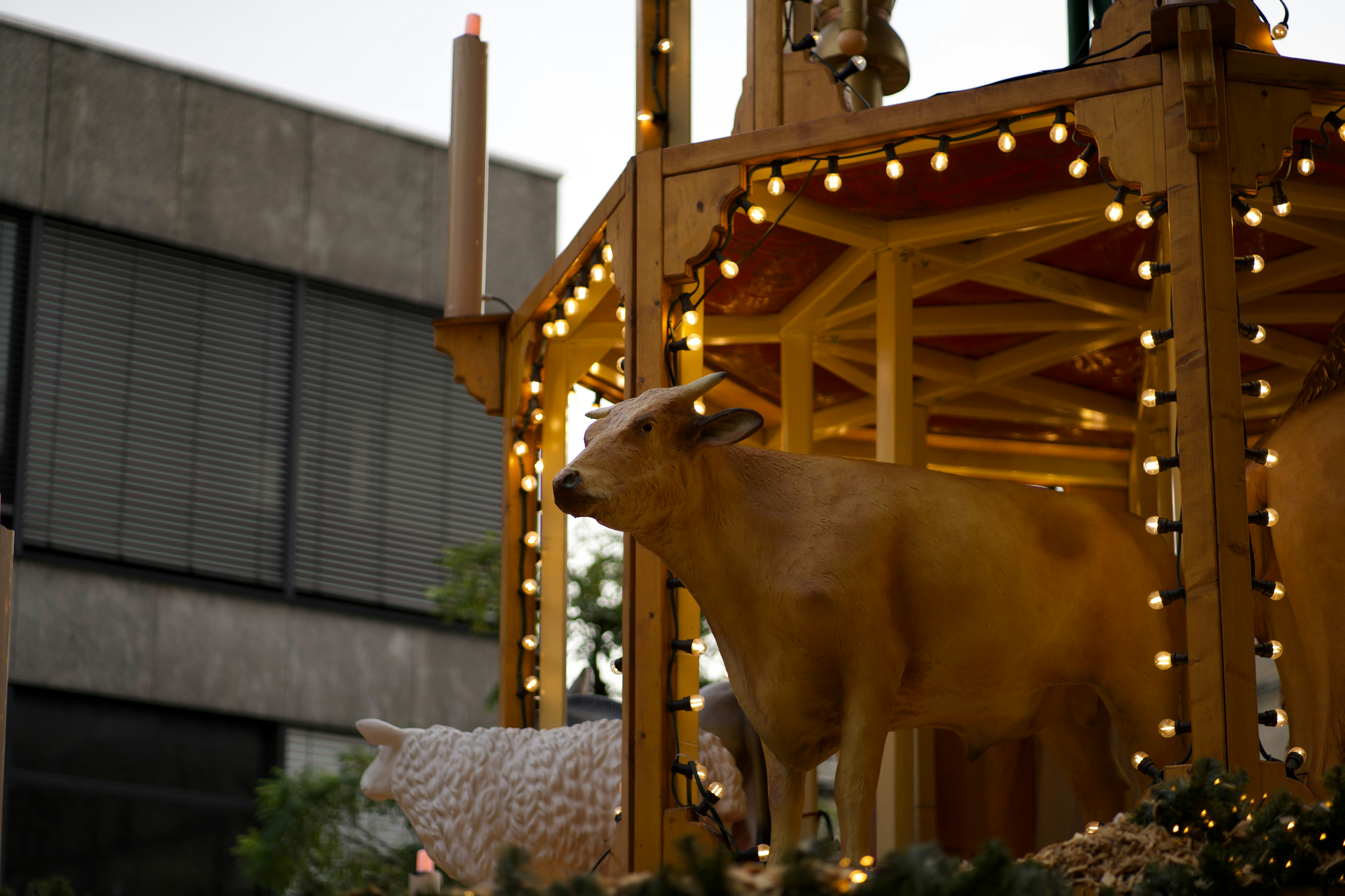 Golden Carousel: A Goat Portrait Beneath Festive Lights