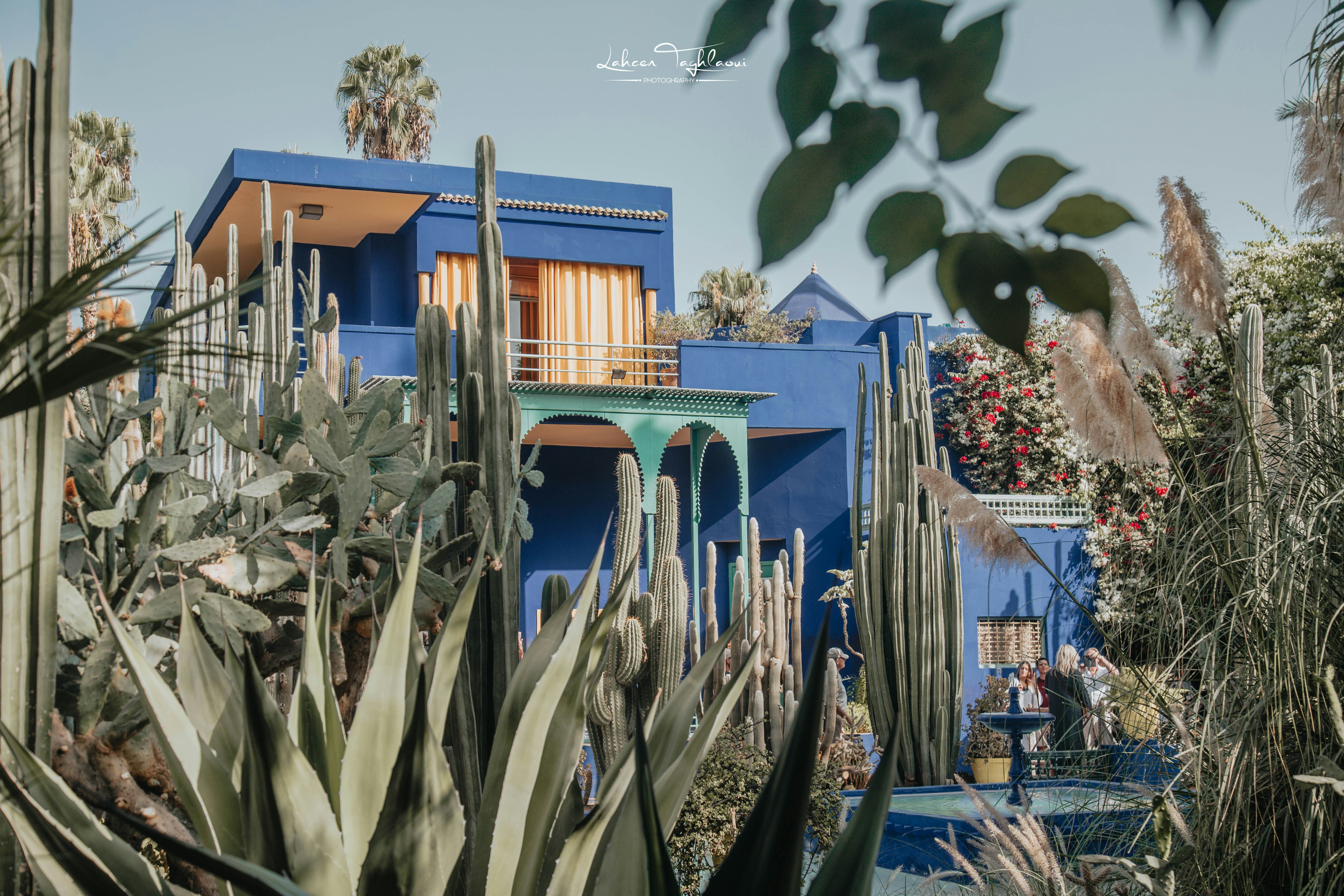 Azure Villa Amid Cacti: A Caribbean-style Retreat Framed by Succulents
