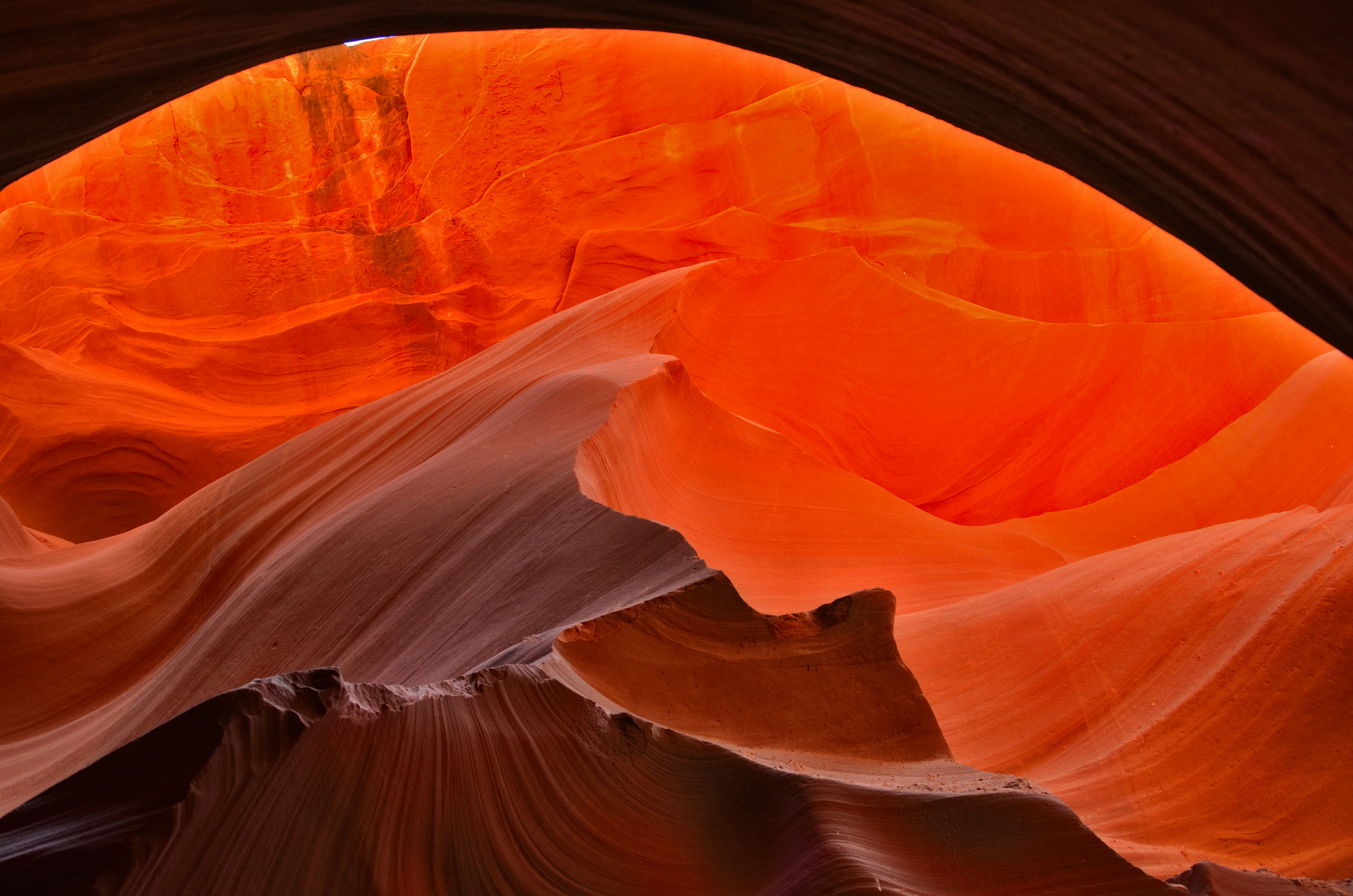 Canyon Ember: Curves of Light in a Vivid Red Slot