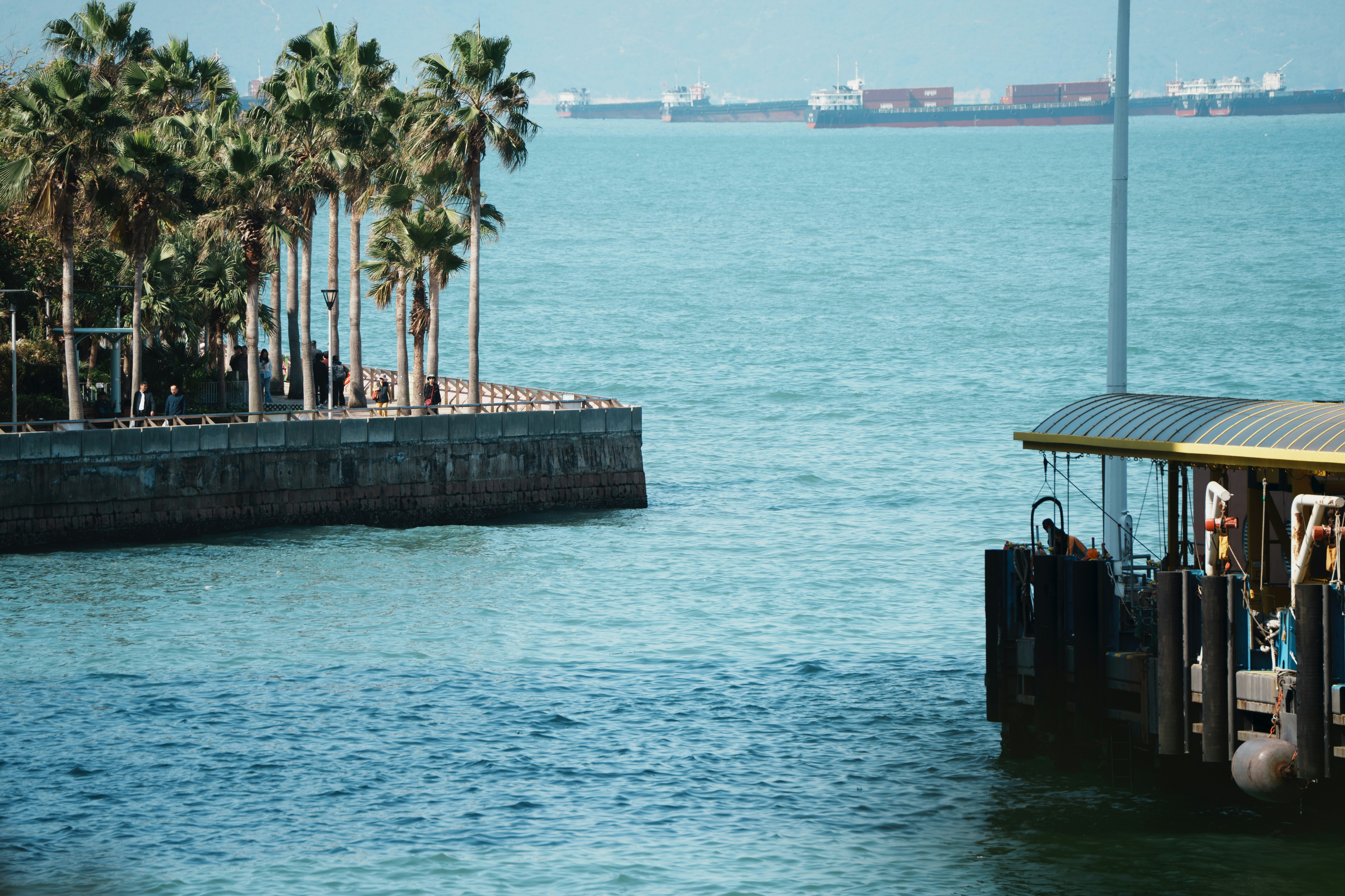 Harbor Edge: Palm Trees, Pier, and Distant Convoys