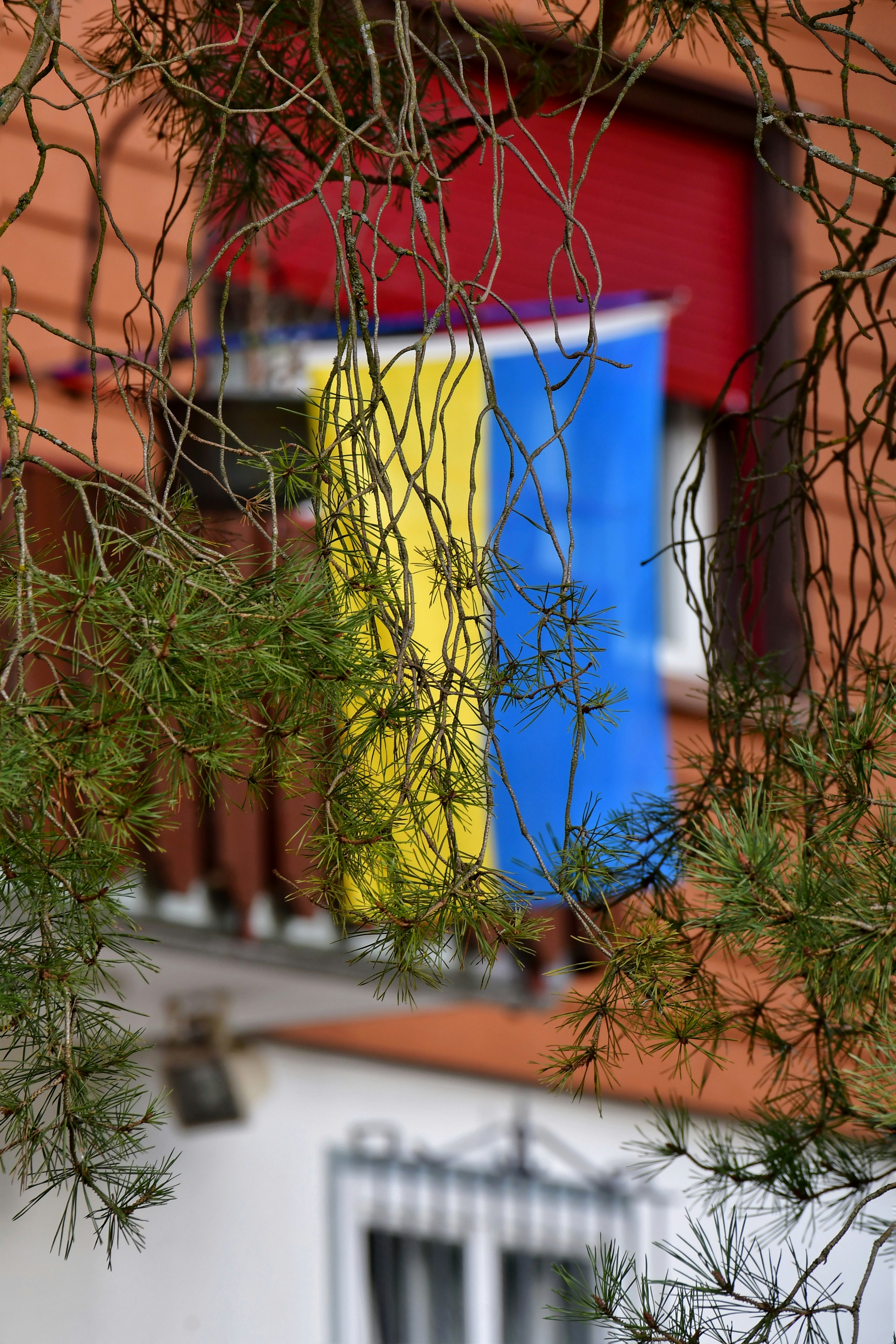 Branching foreground frames a blurred urban kiosk